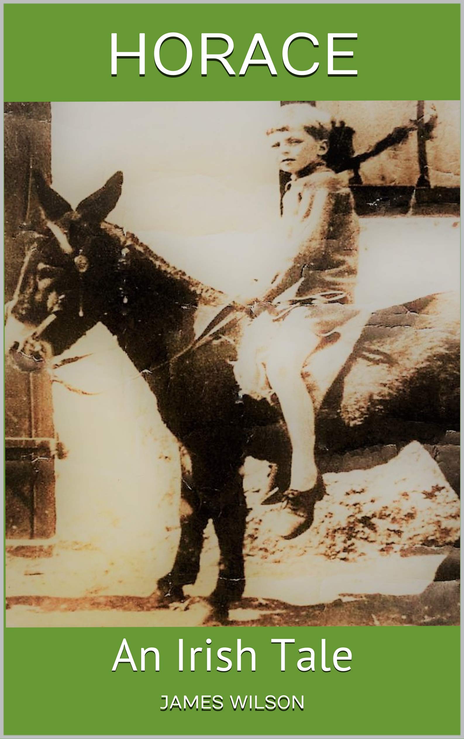 HORACE: An Irish Tale by James Wilson | Goodreads