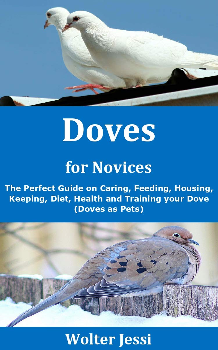 Doves for Novices: The Perfect Guide on Caring, Feeding, Housing ...
