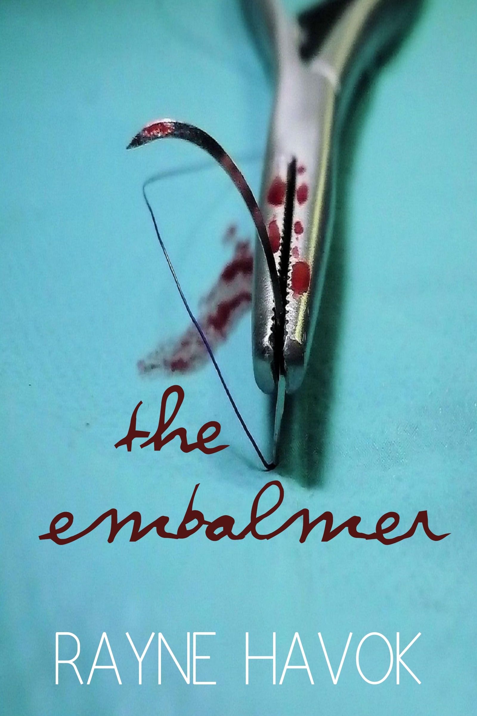 Review: The Embalmer by Rayne Havok | Warhawke's Vault Book Blog