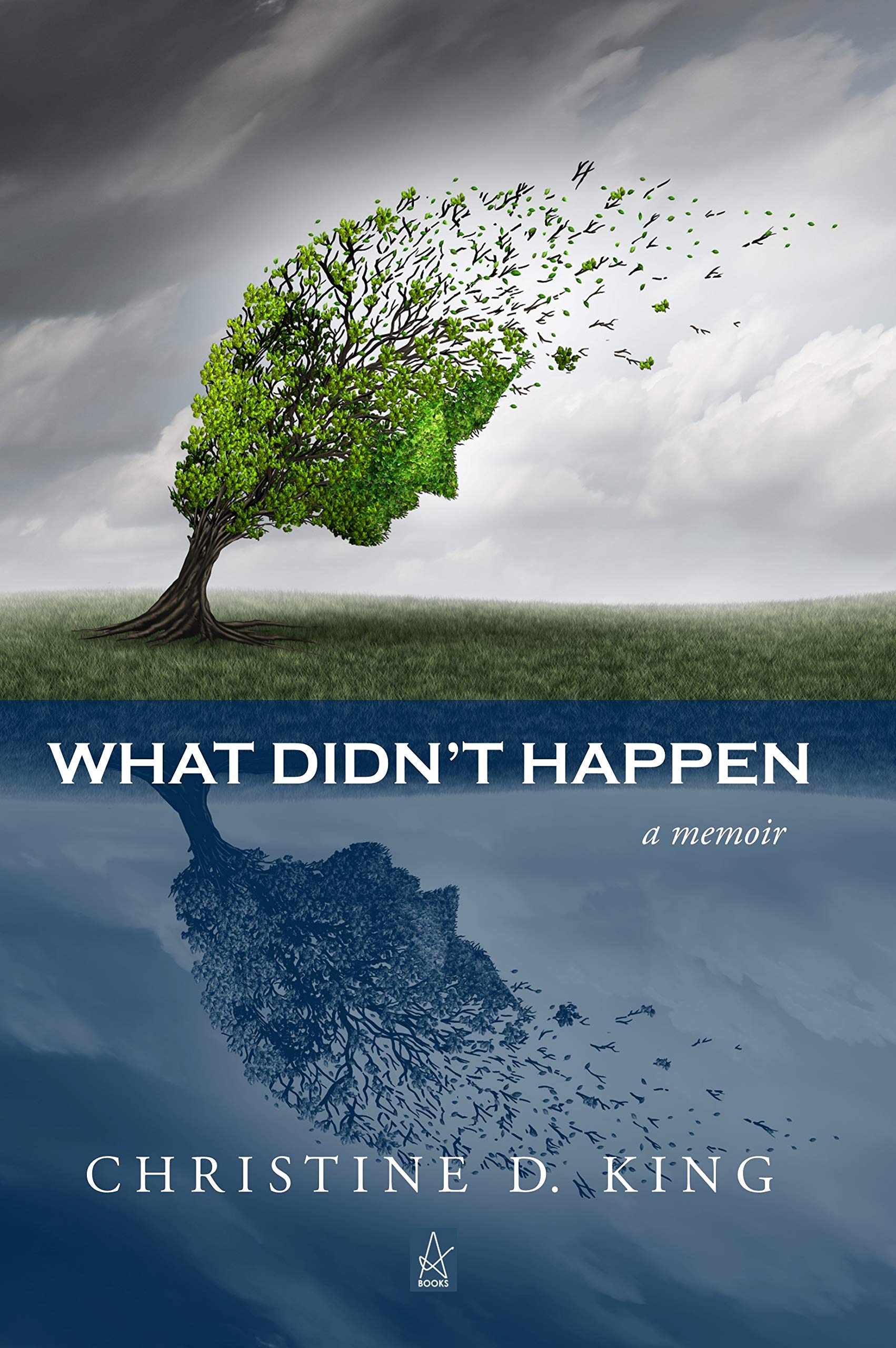 What Didn't Happen: A memoir by Christine D. King | Goodreads