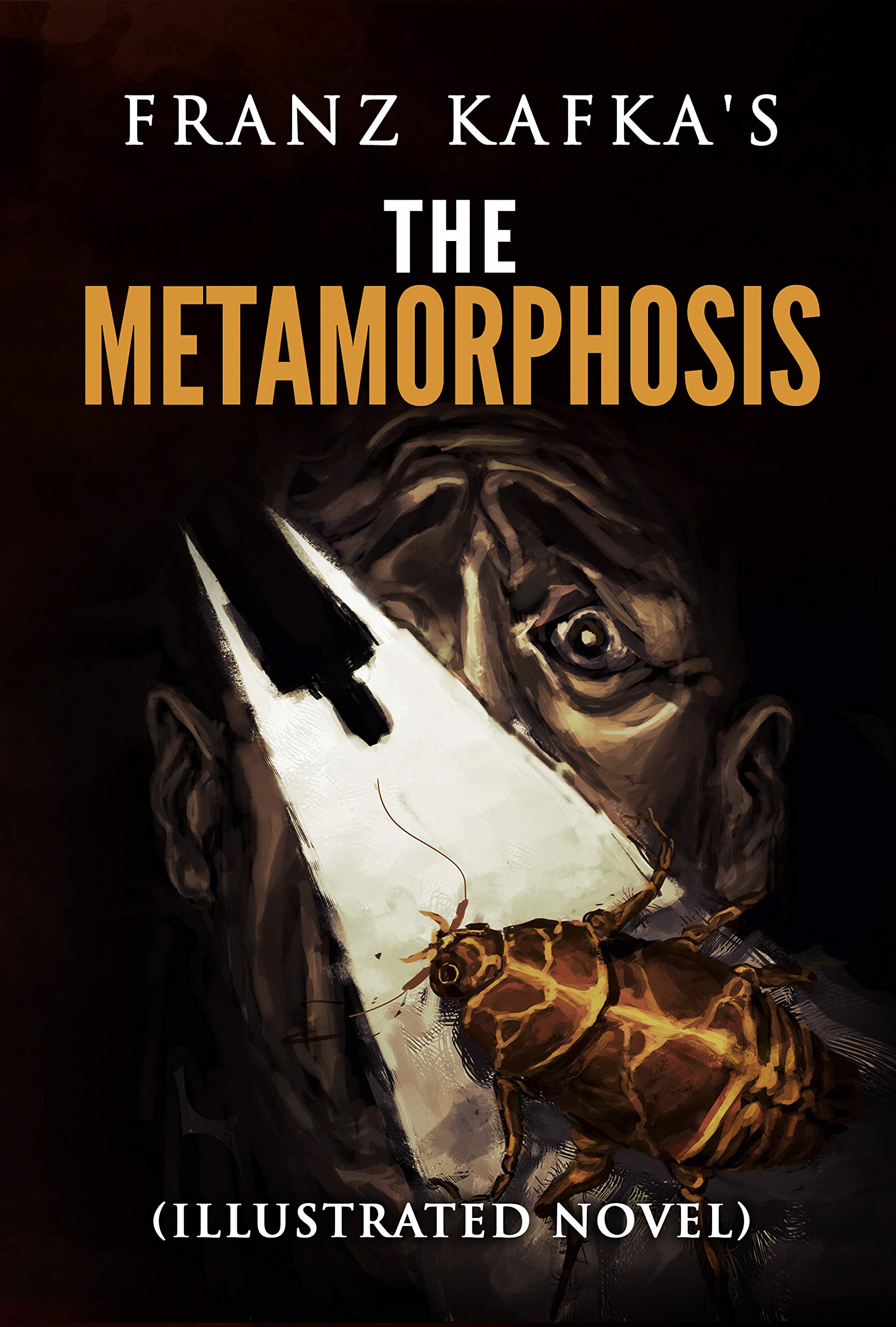 Franz Kafka's The Metamorphosis (Illustrated novel) by Franz Kafka ...