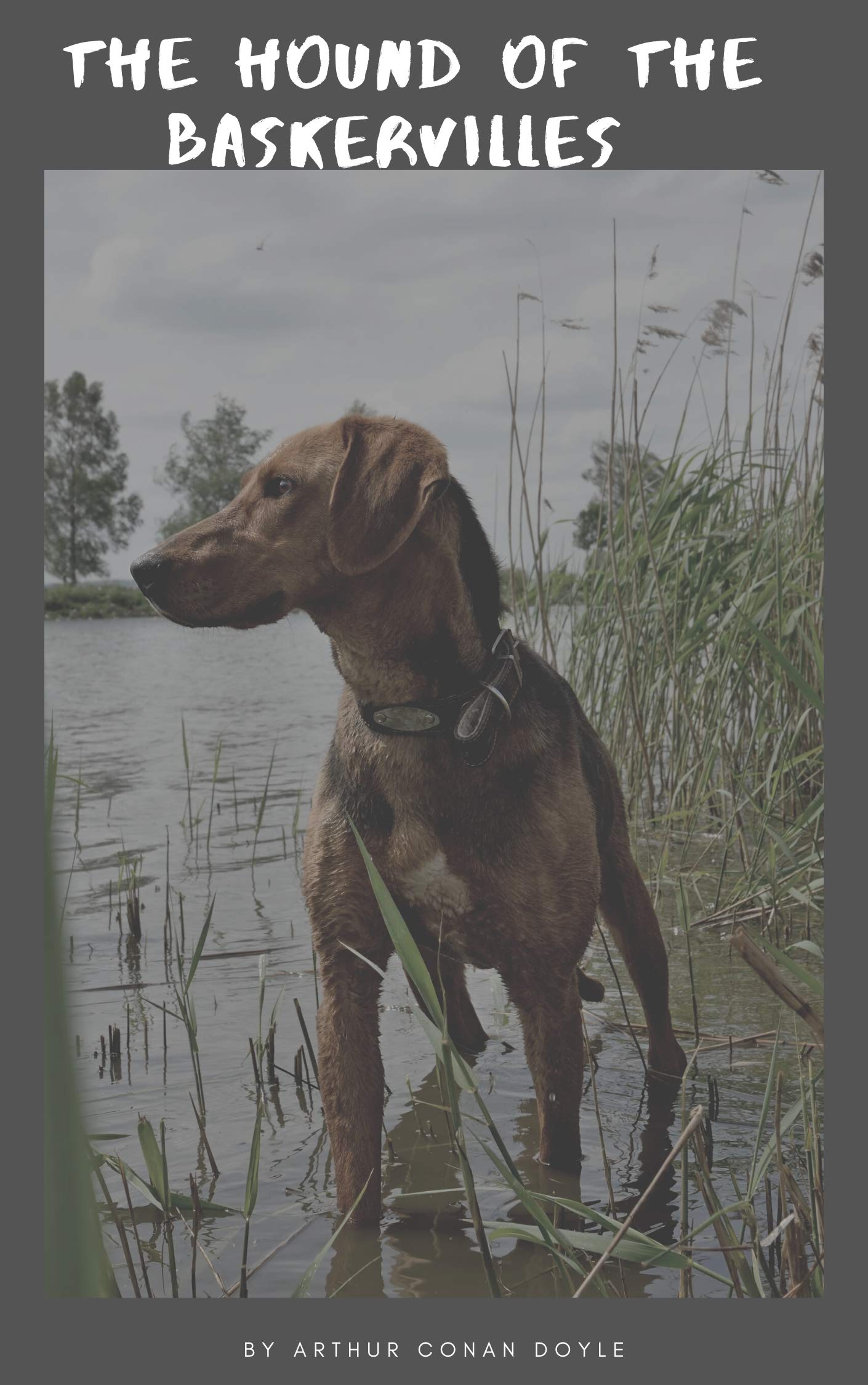 The Hound of the Baskervilles (illustrated) by Arthur Conan Doyle ...