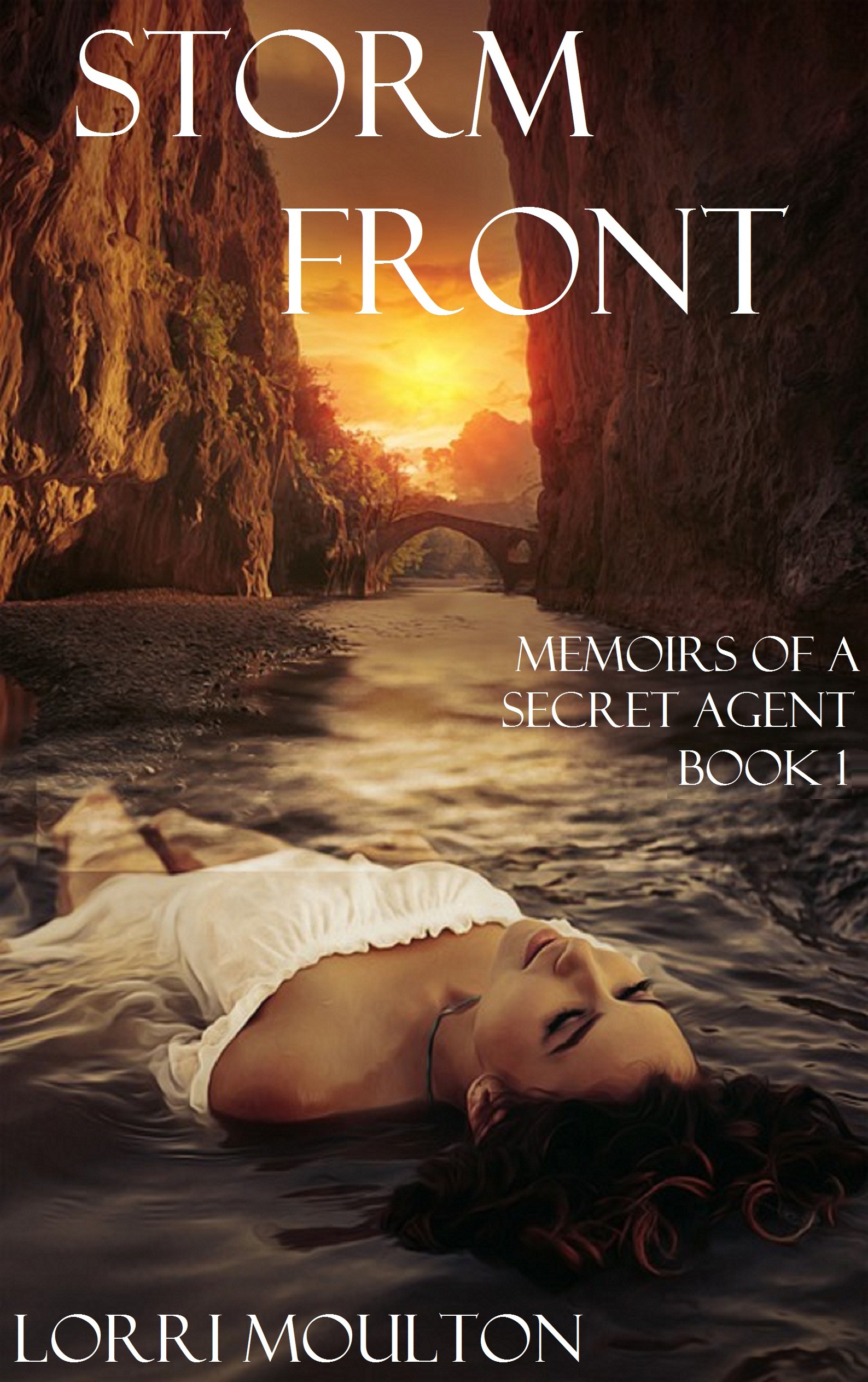 Storm Front (Memoirs of a Secret Agent #1) by Jazzmyn Storm | Goodreads