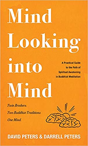 Mind Looking into Mind: A Practical Guide to the Path of Spiritual ...