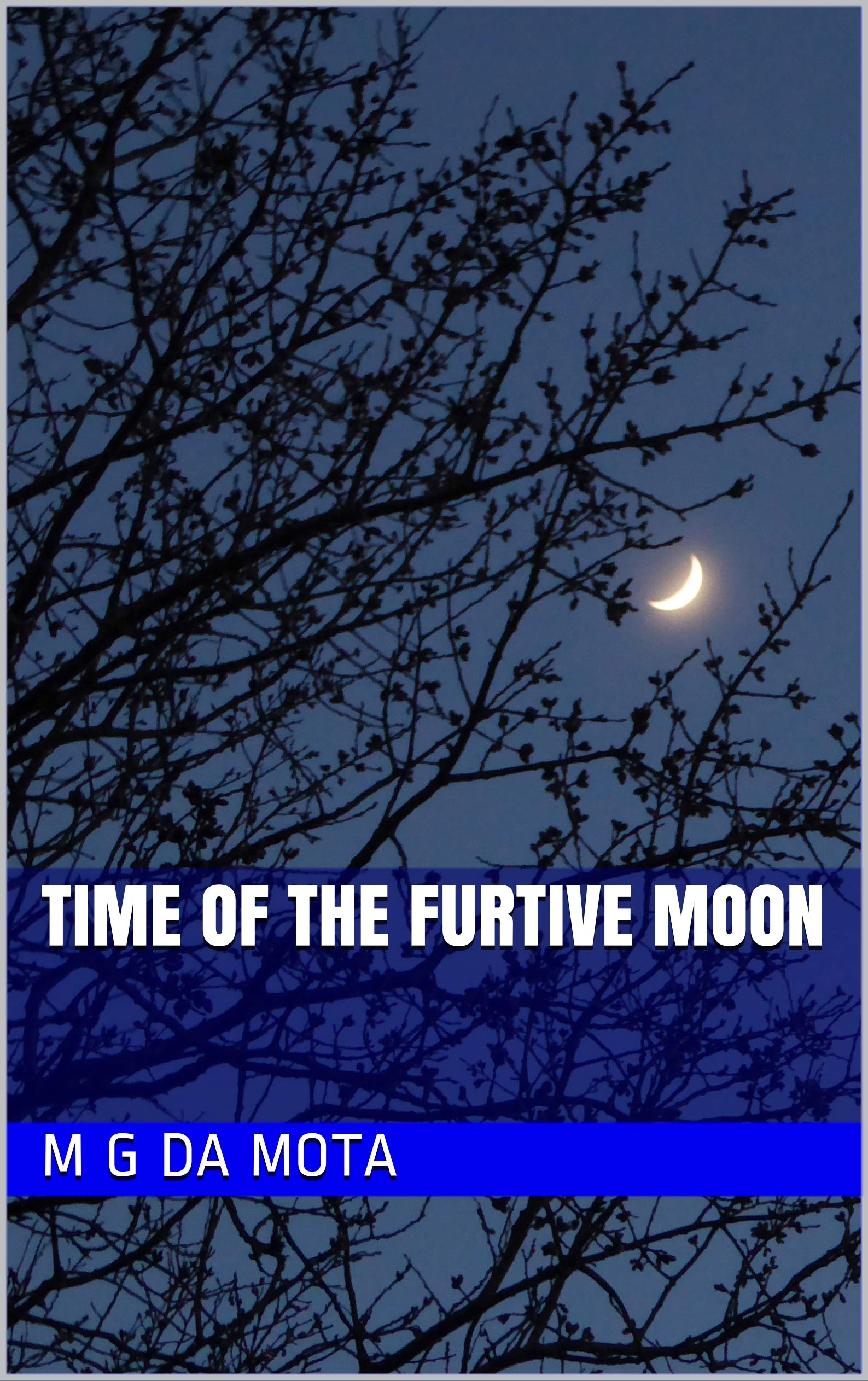 Time of the Furtive Moon by M.G. Da Mota | Goodreads
