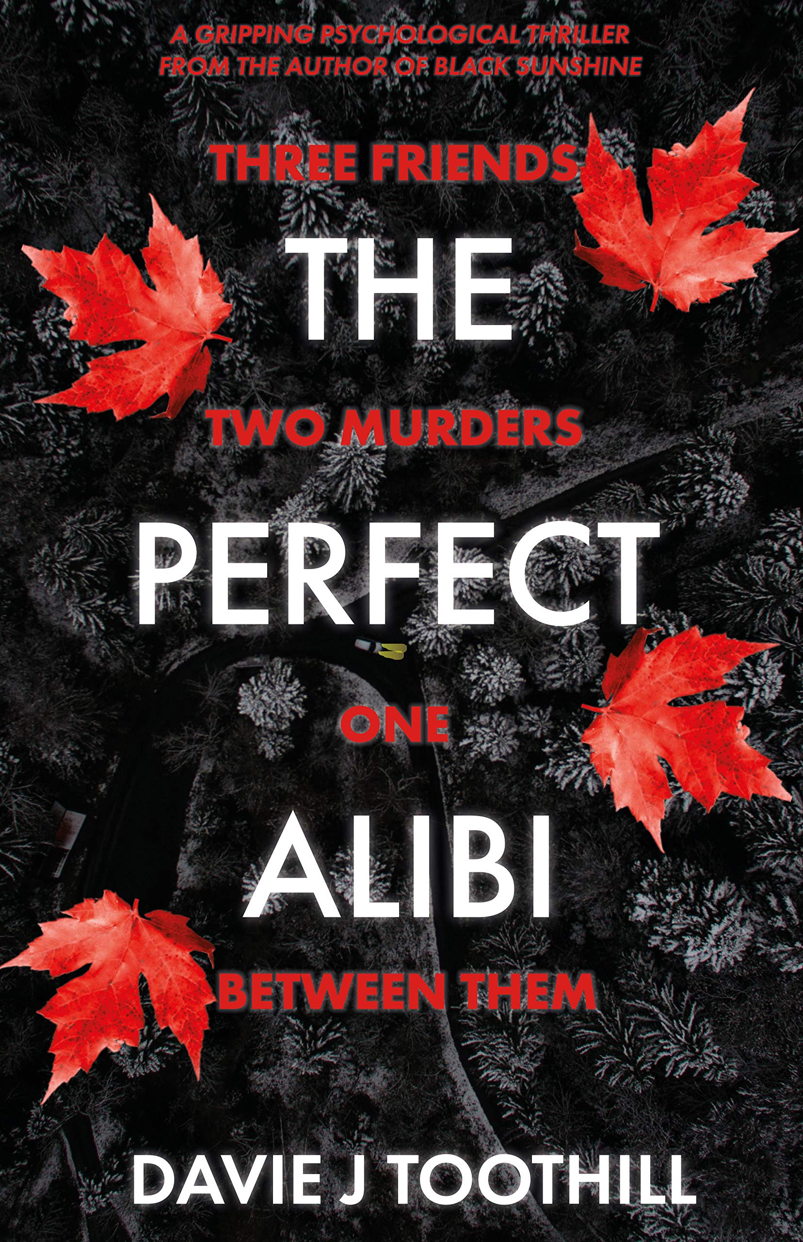 The Perfect Alibi by Davie J Toothill | Goodreads