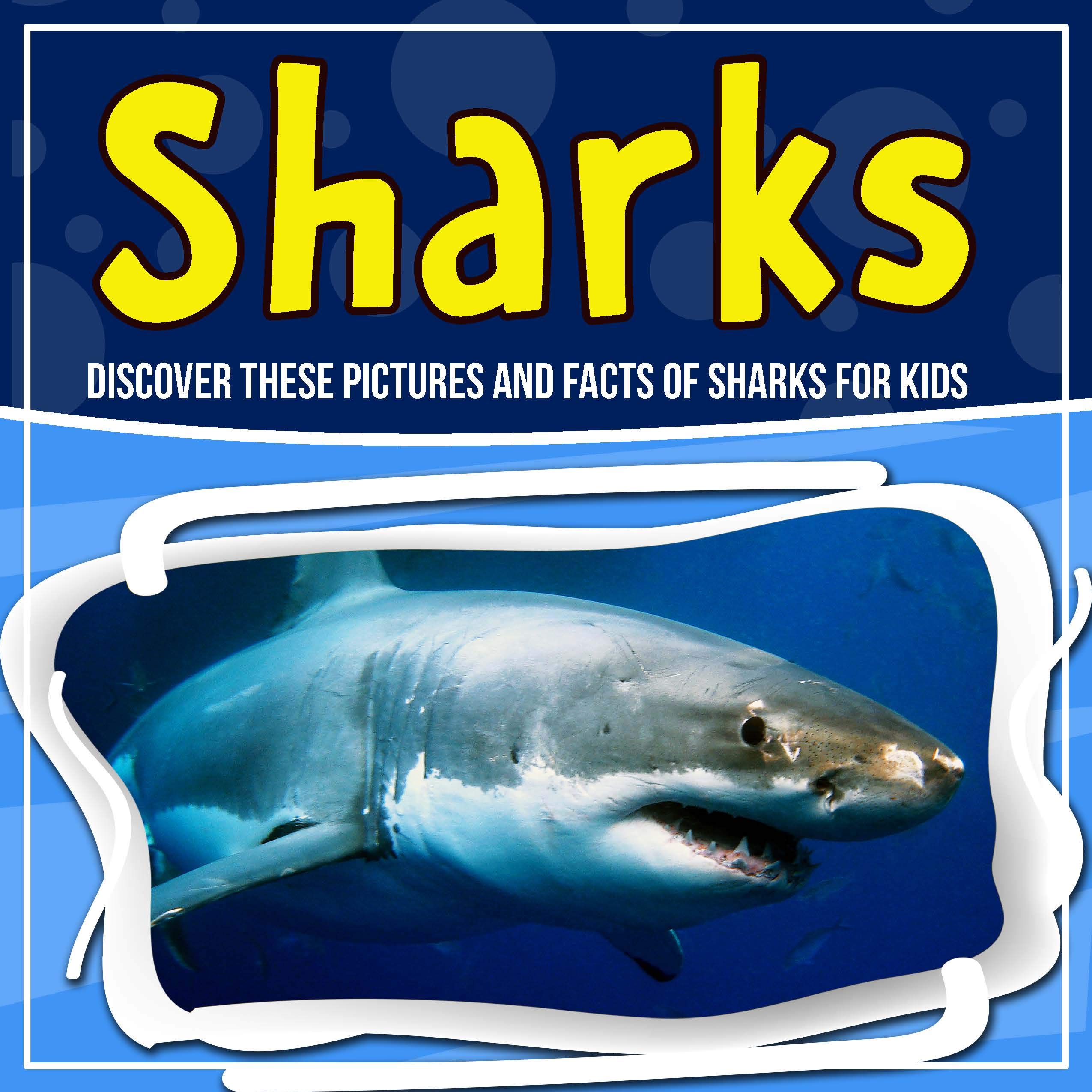 Sharks: Discover These Pictures And Facts Of Sharks For Kids by Bold ...