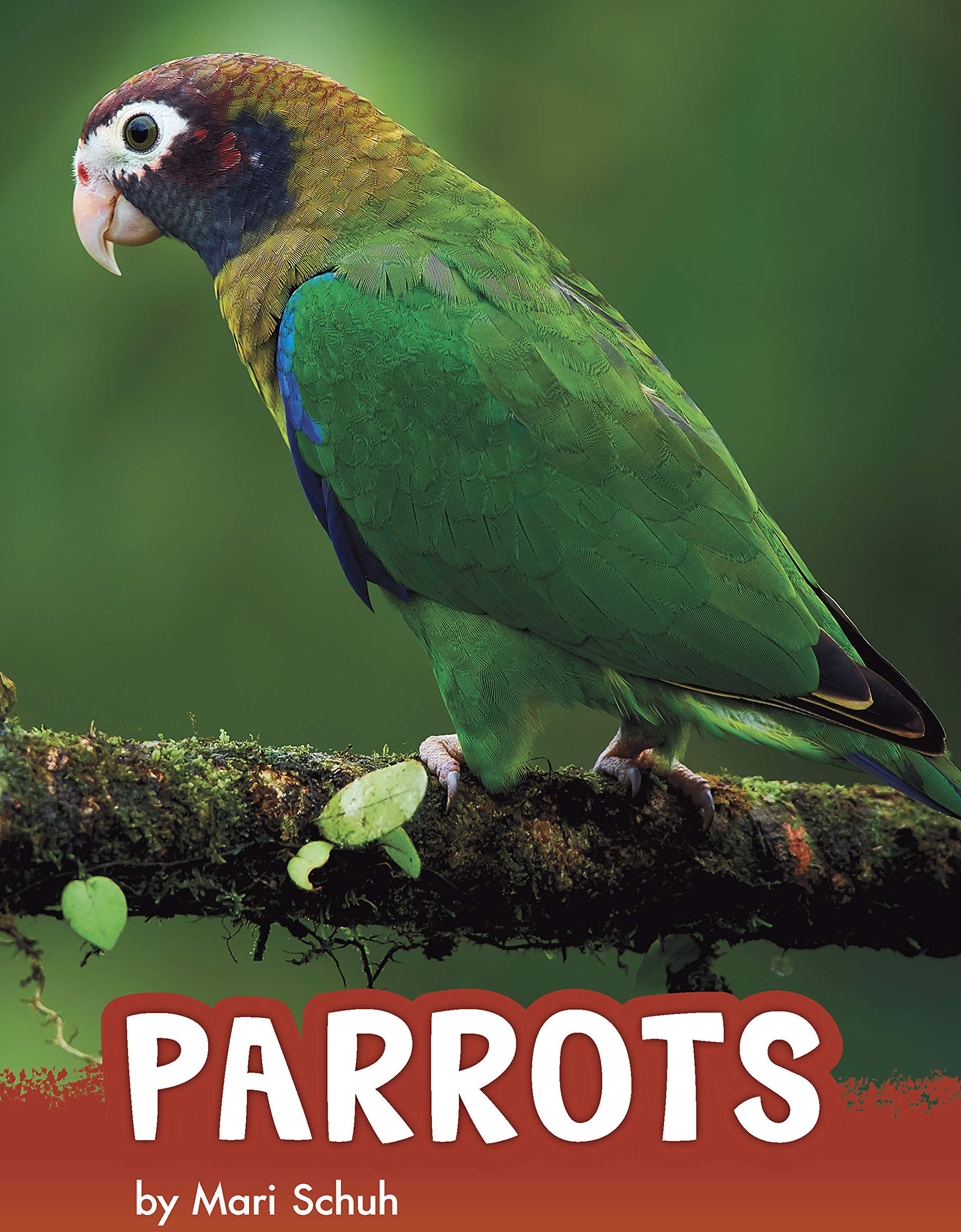 Parrots (Animals) by Mari Schuh | Goodreads