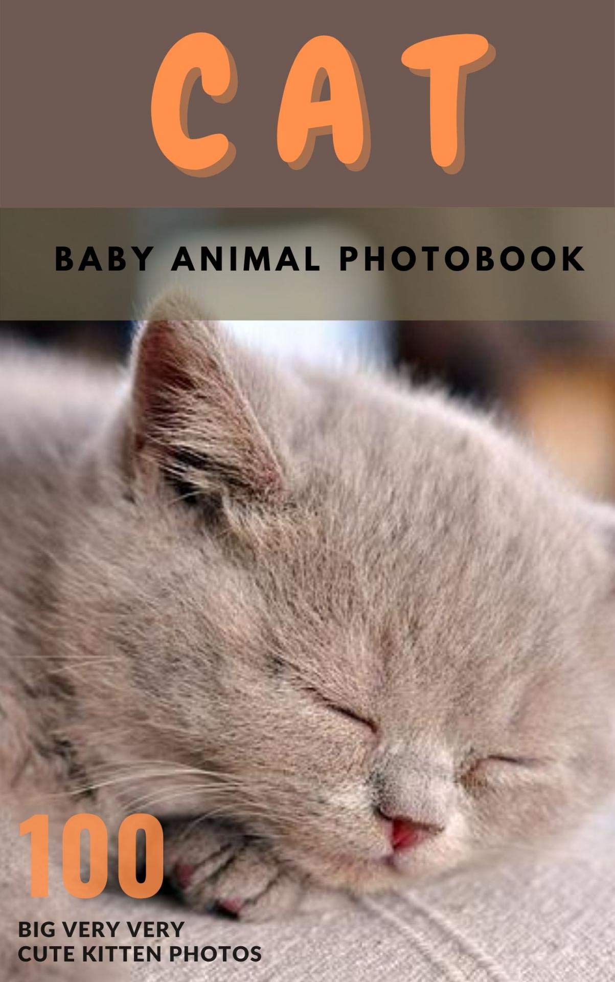 CAT BABY ANIMAL PHOTO BOOK: 100 Big cute kitten photo for Cat Lovers by ...