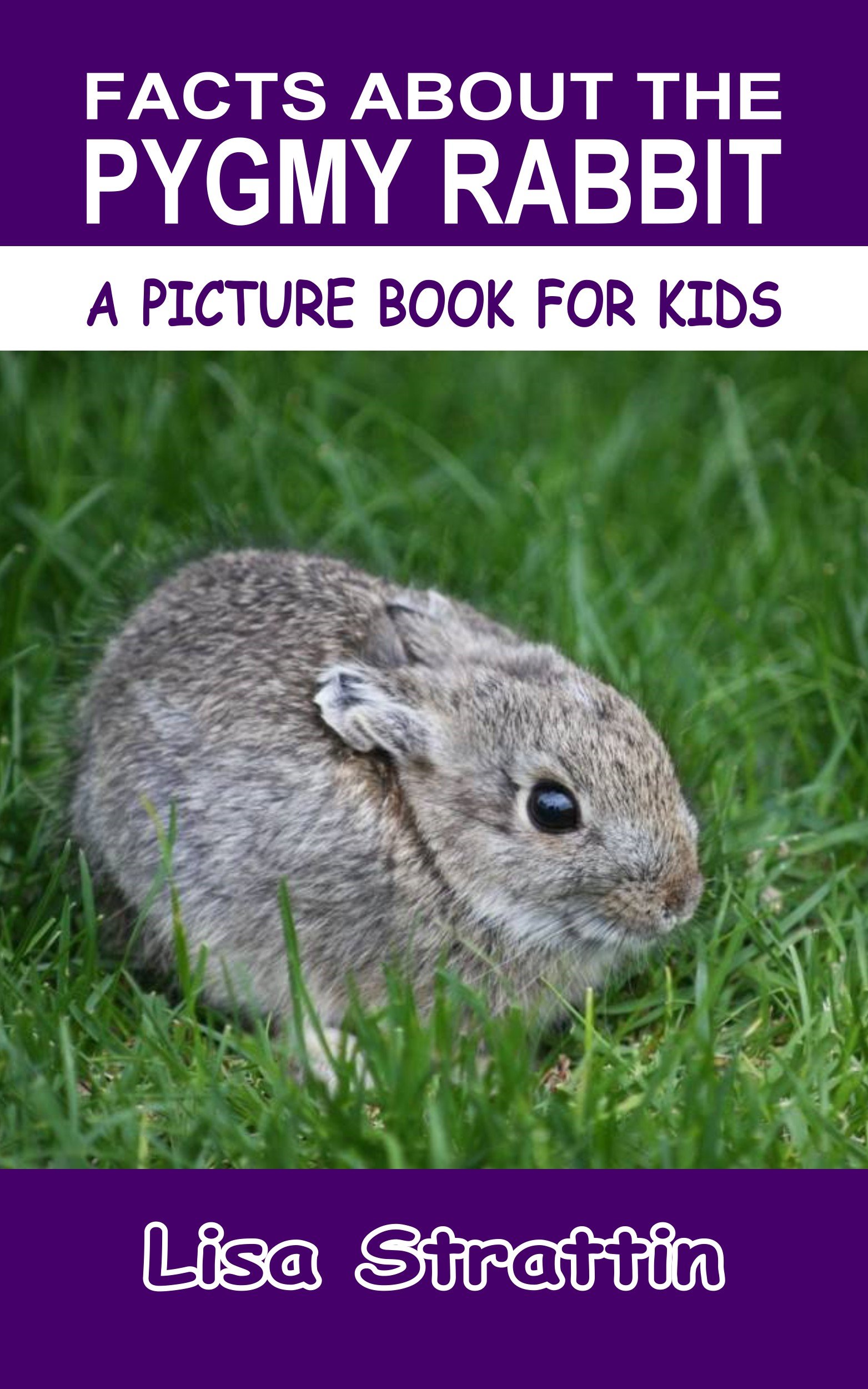 Facts About the Pygmy Rabbit by Lisa Strattin | Goodreads