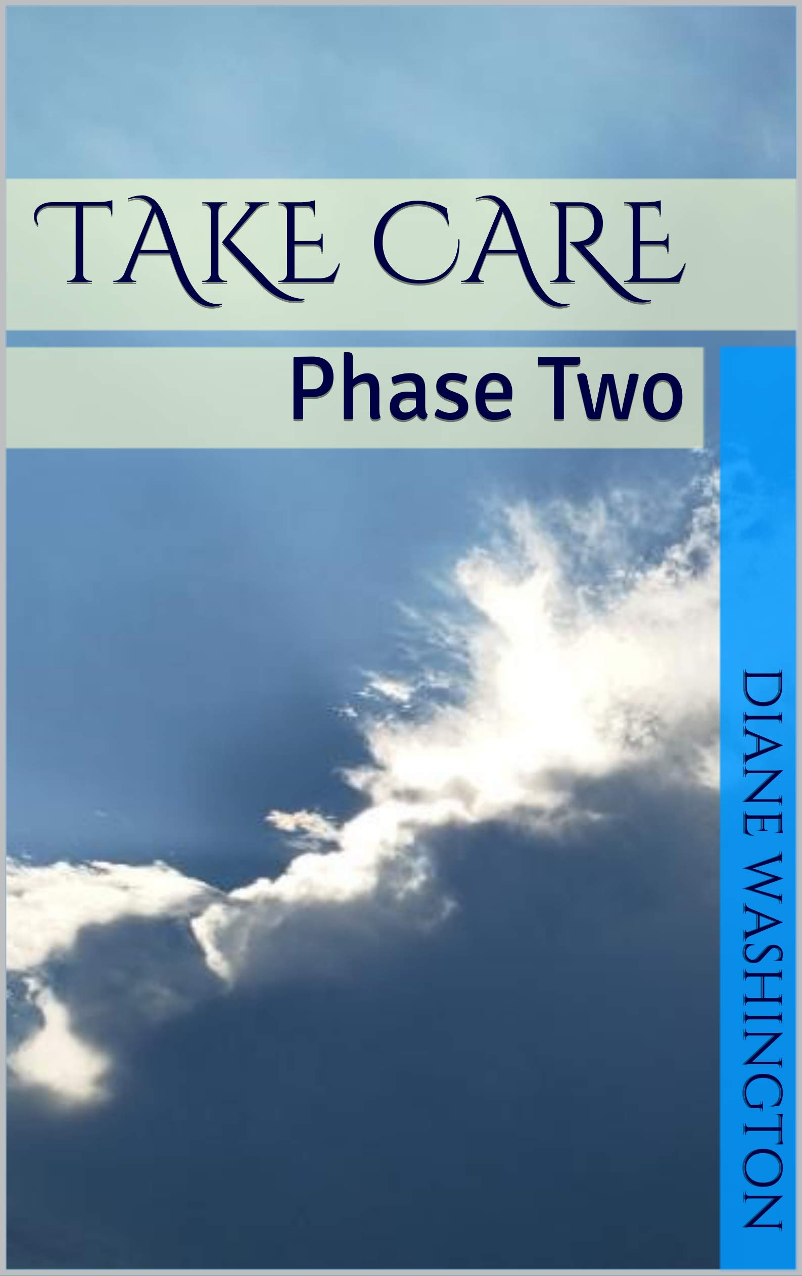 Take Care: Phase Two (Take Series Book 2) by Diane Washington | Goodreads
