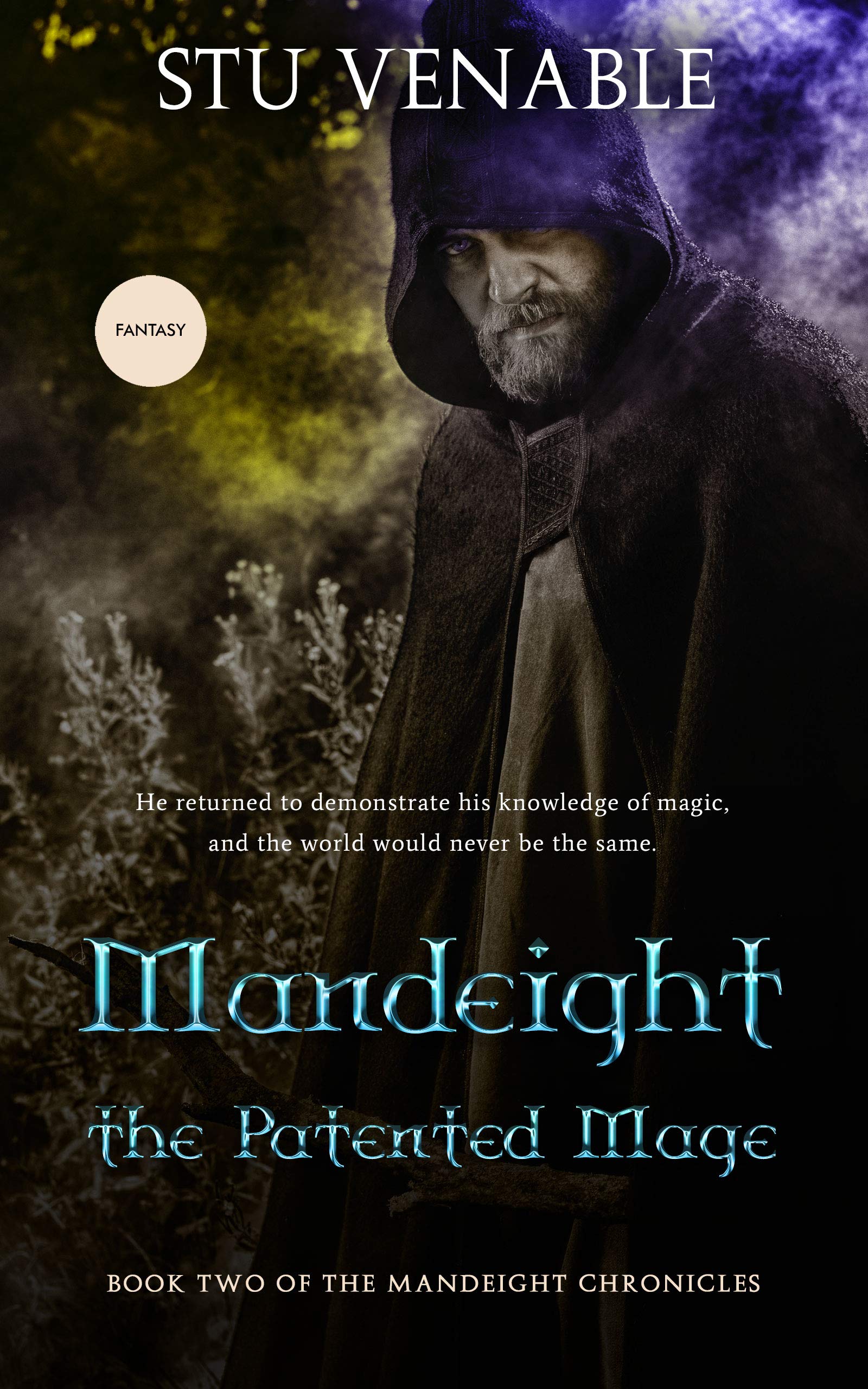 Mandeight the Patented Mage: Book Two in the Mandeight Chronicles by ...