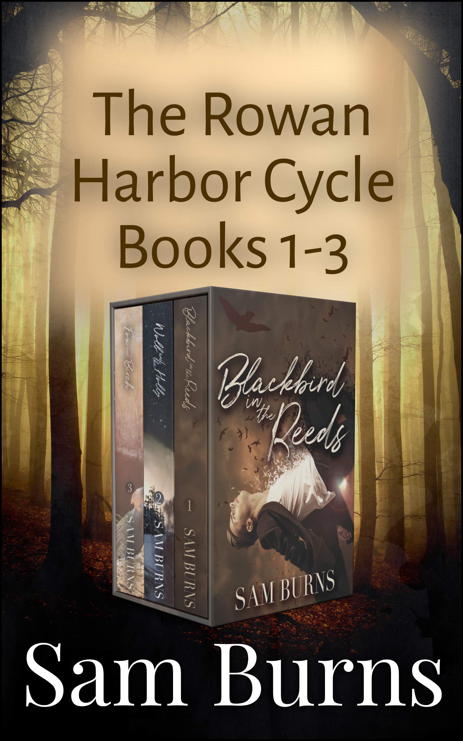 Rowan Harbor Trilogy One: Blackbird in the Reeds, Wolf and the Holly ...