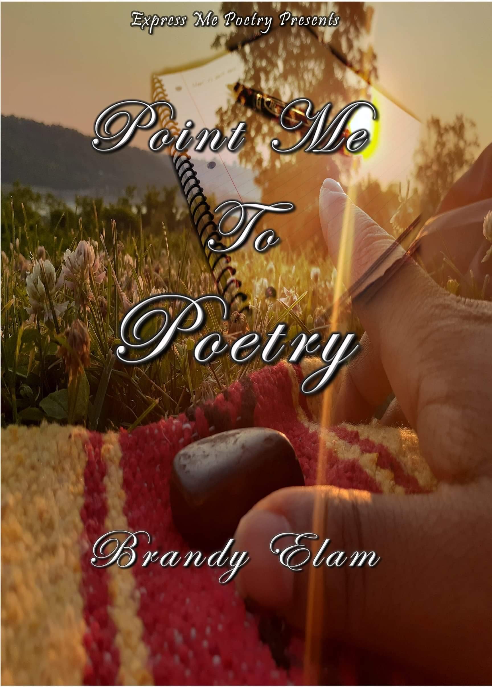 Point Me To Poetry by Brandy Elam | Goodreads