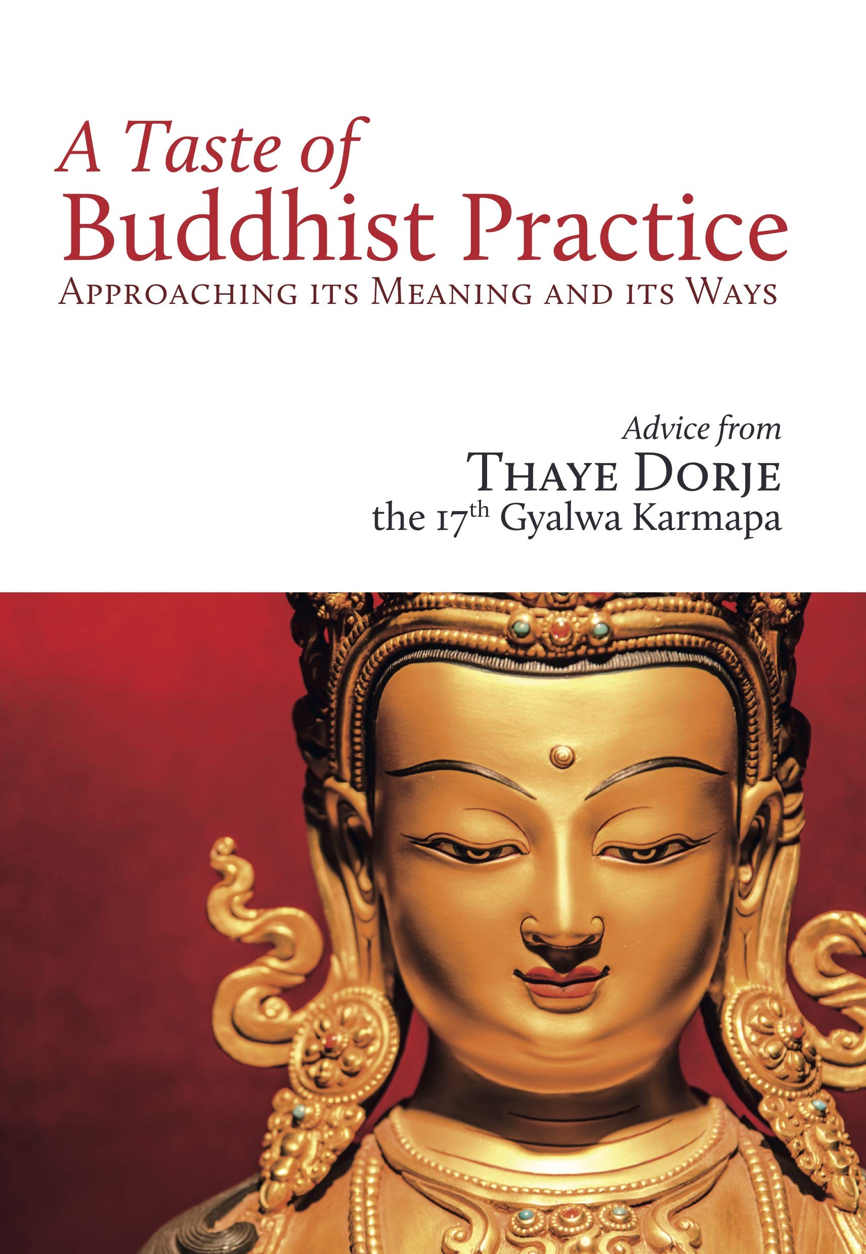 A Taste of Buddhist Practice: Approaching its Meaning and Its Ways by ...