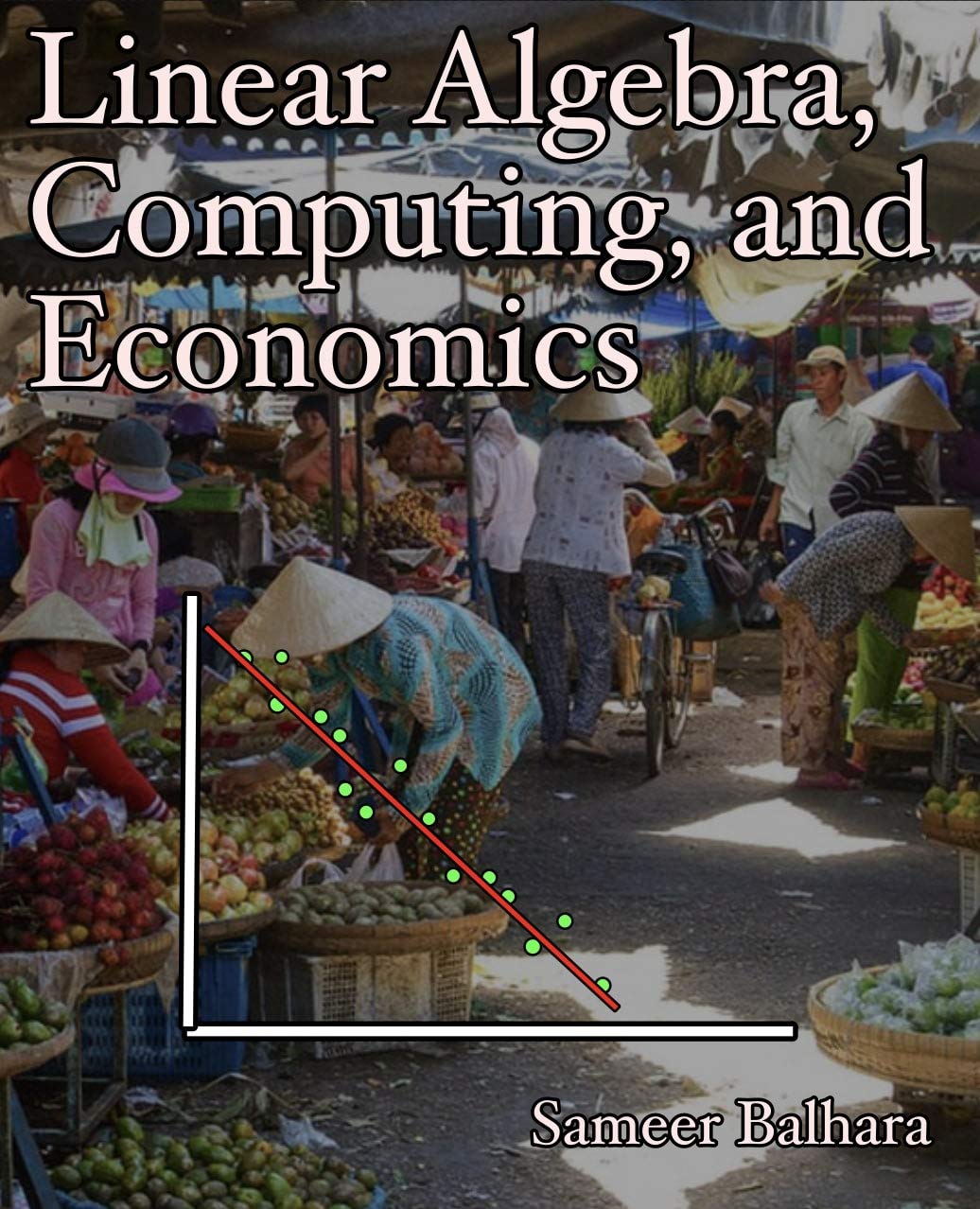 Linear Algebra, Computing, and Economics by Sameer Balhara | Goodreads