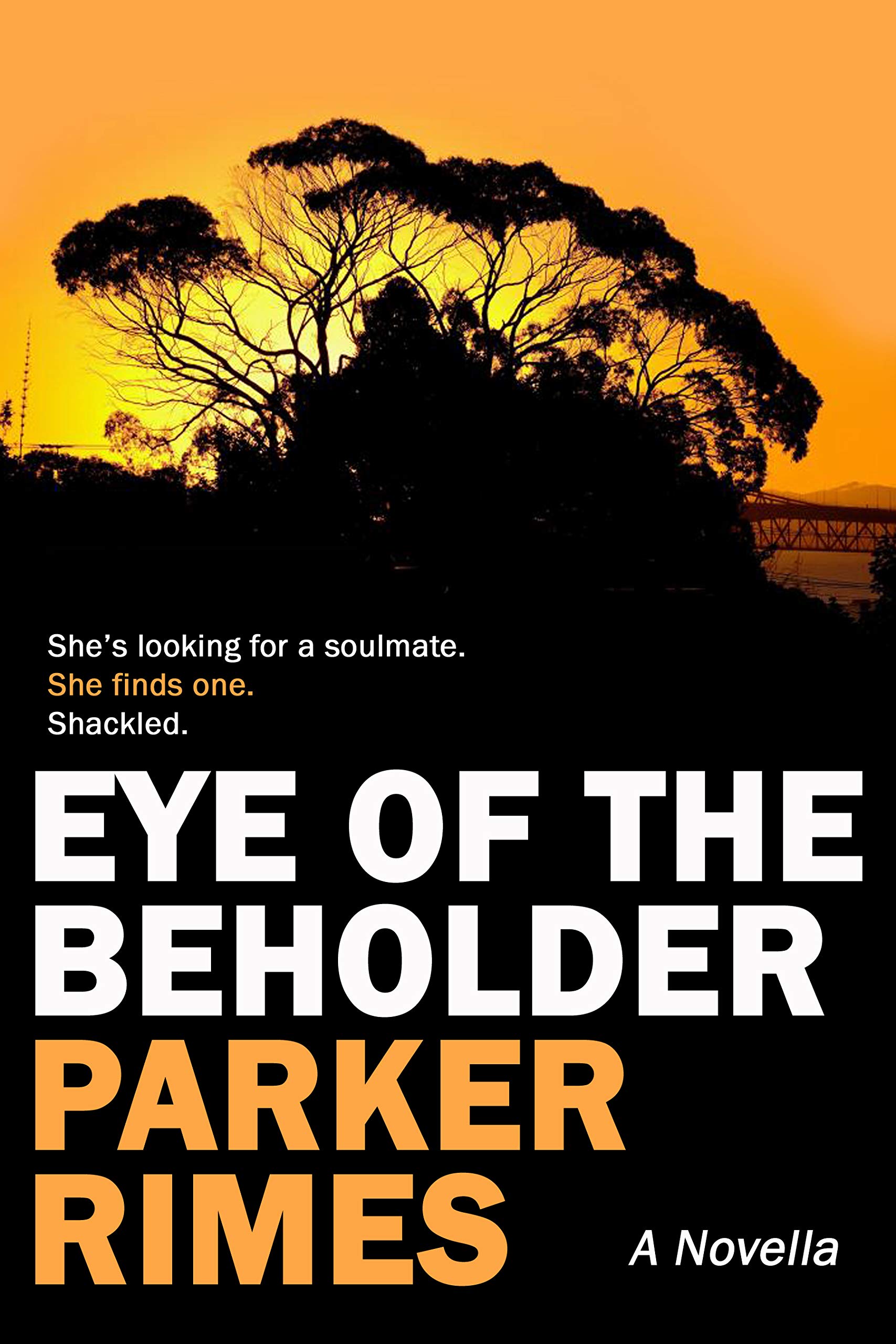 Eye of the Beholder: A Novella by Parker Rimes | Goodreads