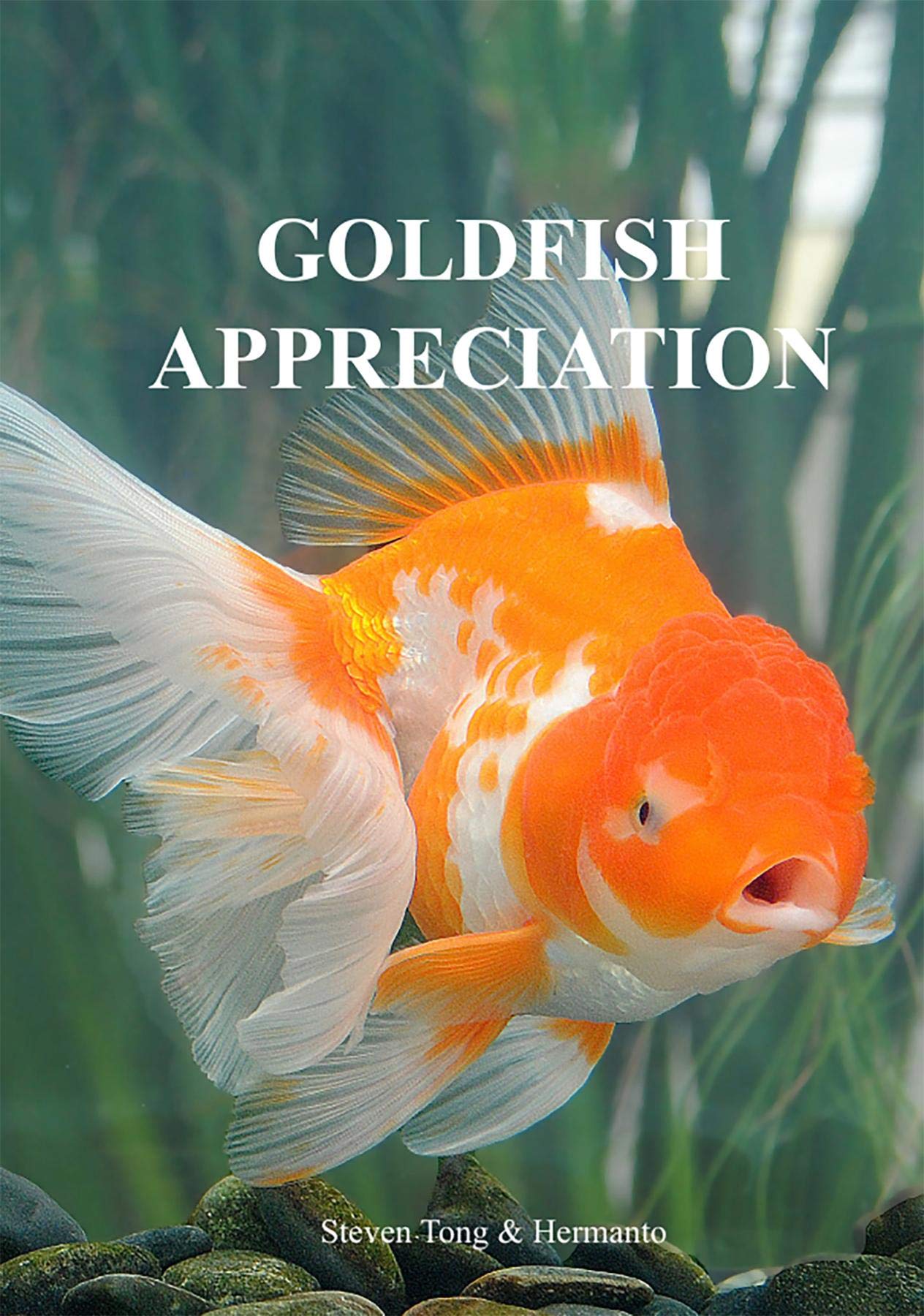 Goldfish Appreciation by Steven CS Tong | Goodreads