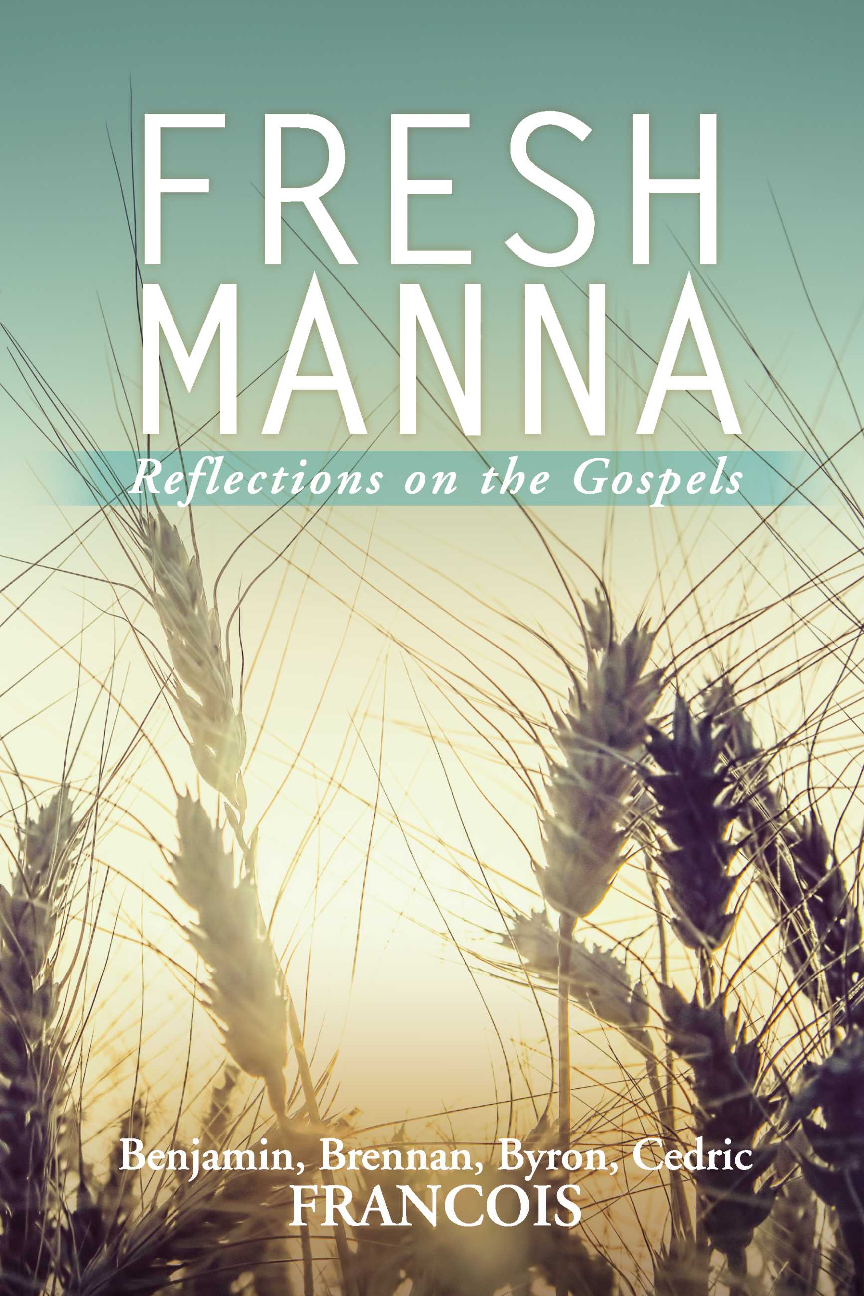Fresh Manna: Reflections on the Gospels by Benjamin François | Goodreads