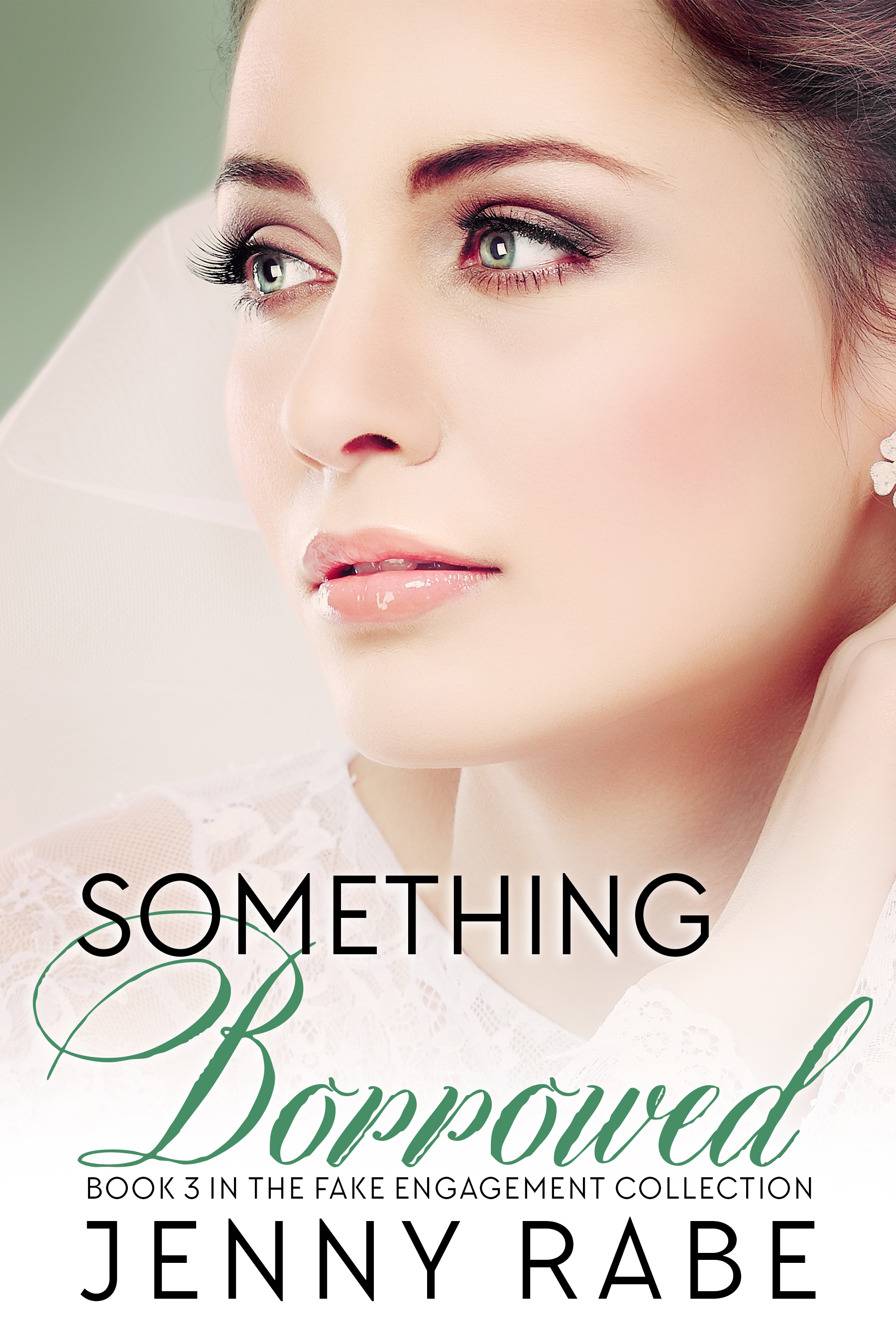 Something Borrowed: Book 3 in the Fake Engagement Collection by Jenny Rabe | Goodreads