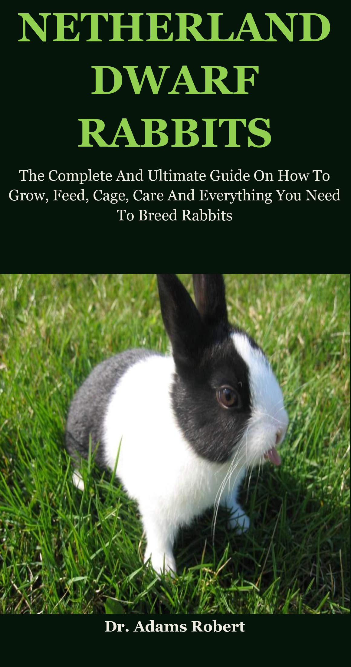 Netherland Dwarf Rabbits: The Complete And Ultimate Guide On How To ...