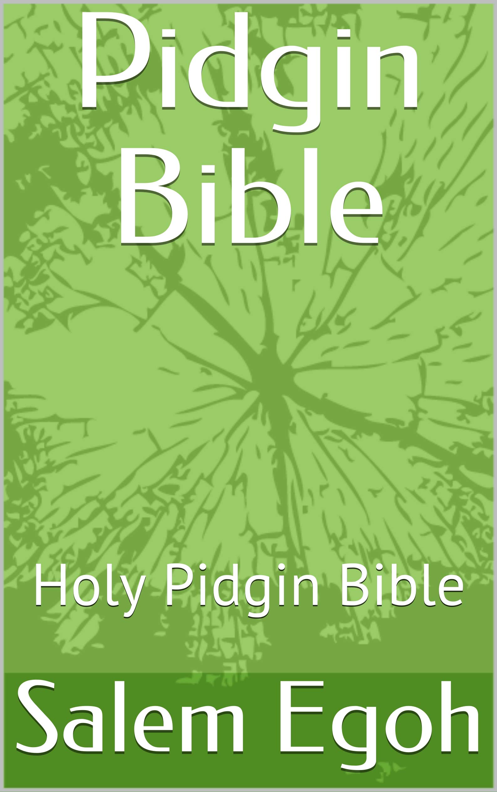 Pidgin Bible: Holy Pidgin Bible by Salem Egoh | Goodreads