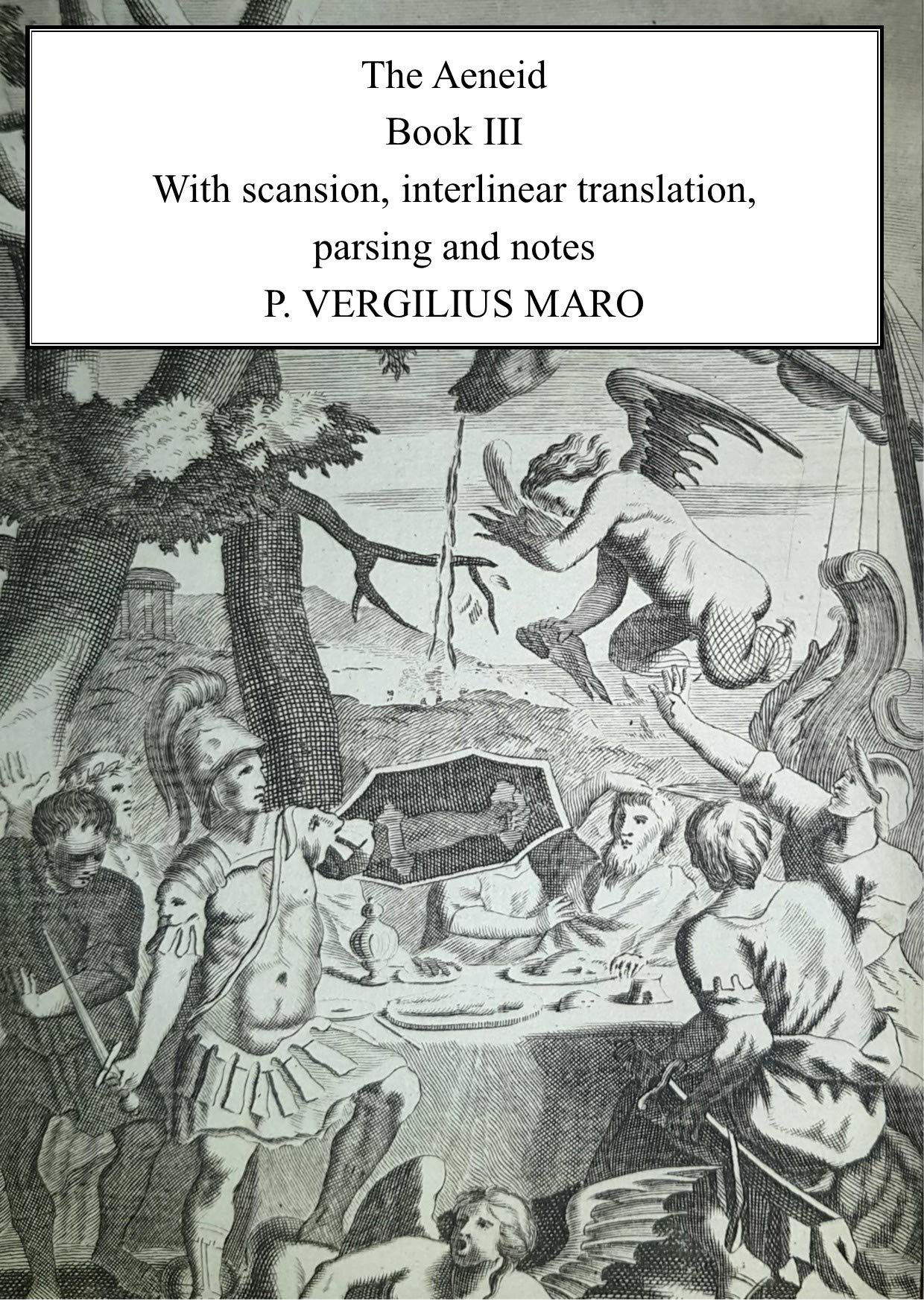 Aeneid Book 3: With scansion, interlinear translation, parsing and ...