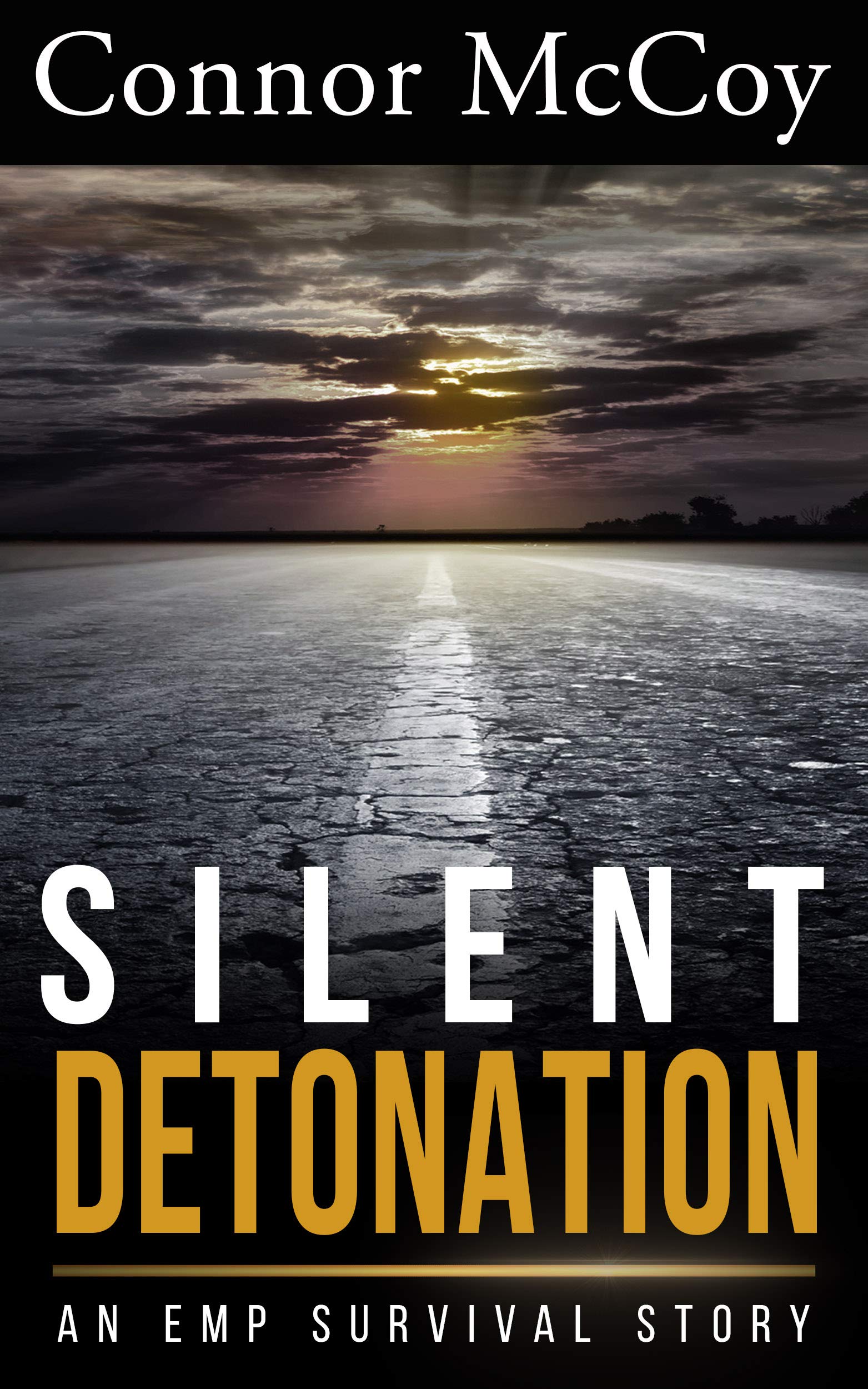 SILENT DETONATION : an EMP survival story by Connor McCoy | Goodreads