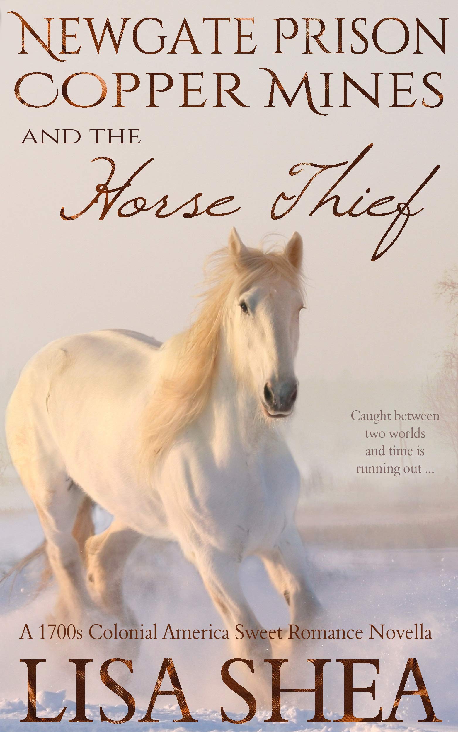 Newgate Prison Copper Mines and the Horse Thief by Lisa Shea | Goodreads