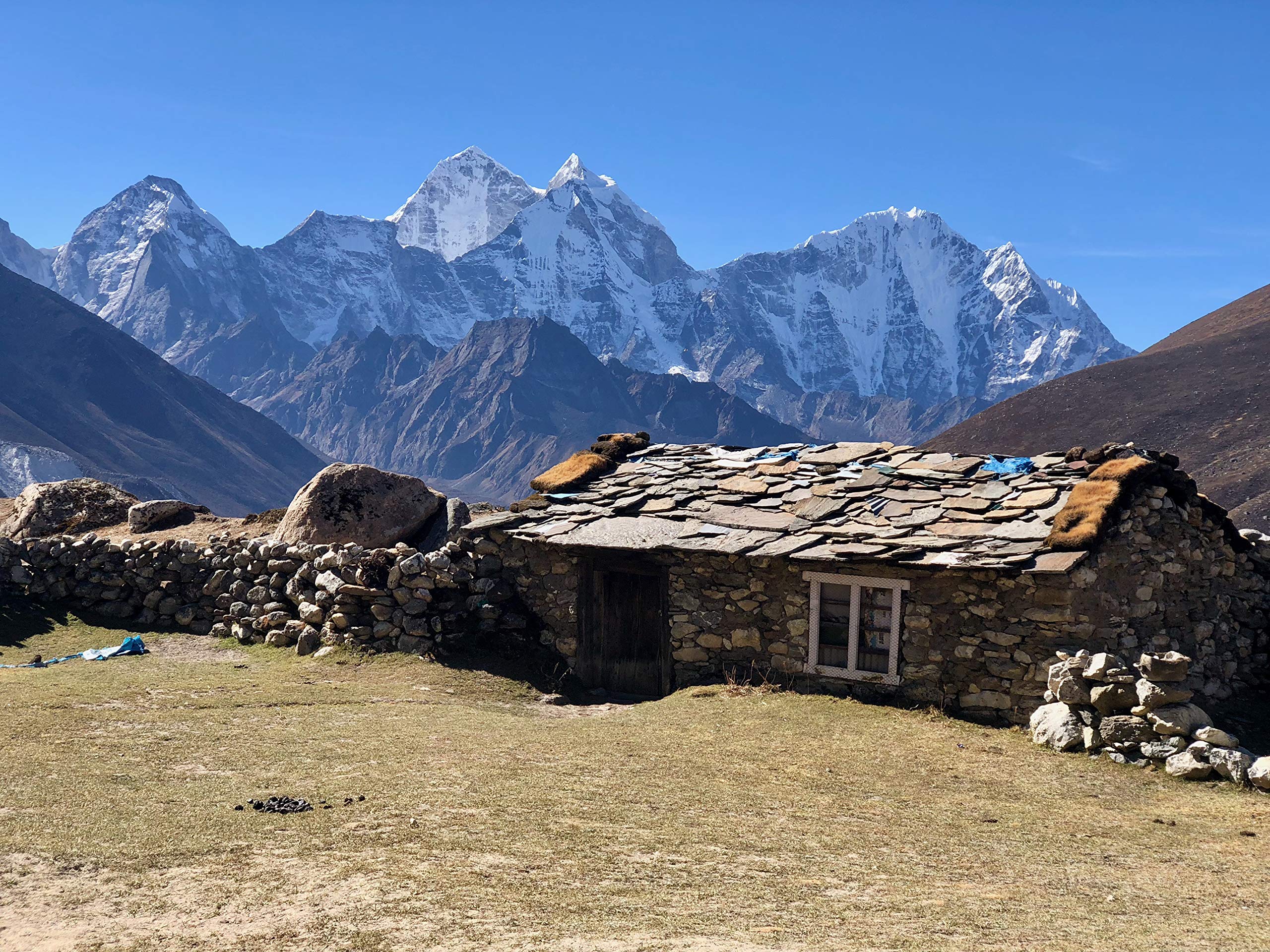 Virtual Everest 2020: A virtual team climbs Everest in the time of the ...