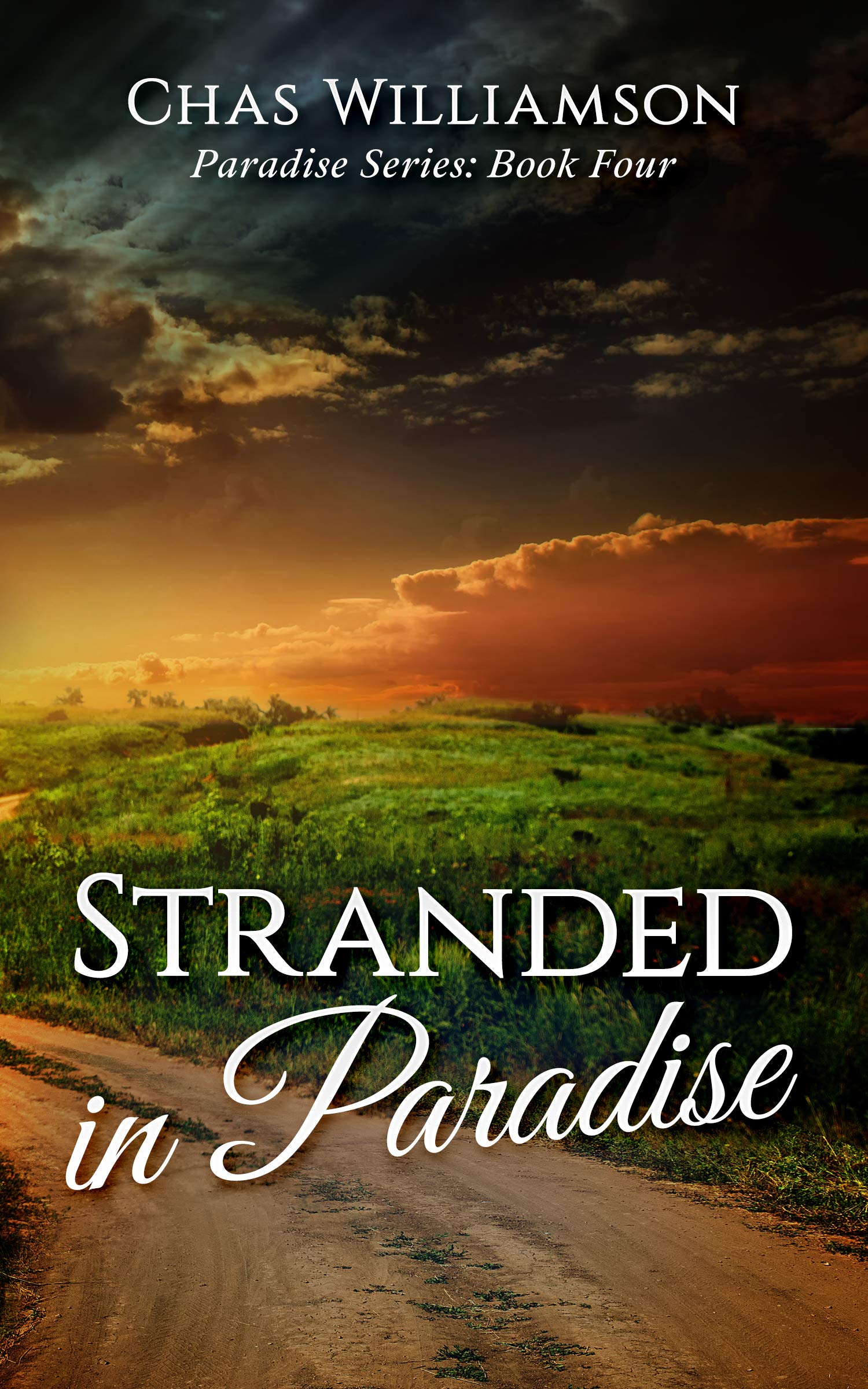 Stranded in Paradise (Seeking Paradise #4) by Chas Williamson | Goodreads