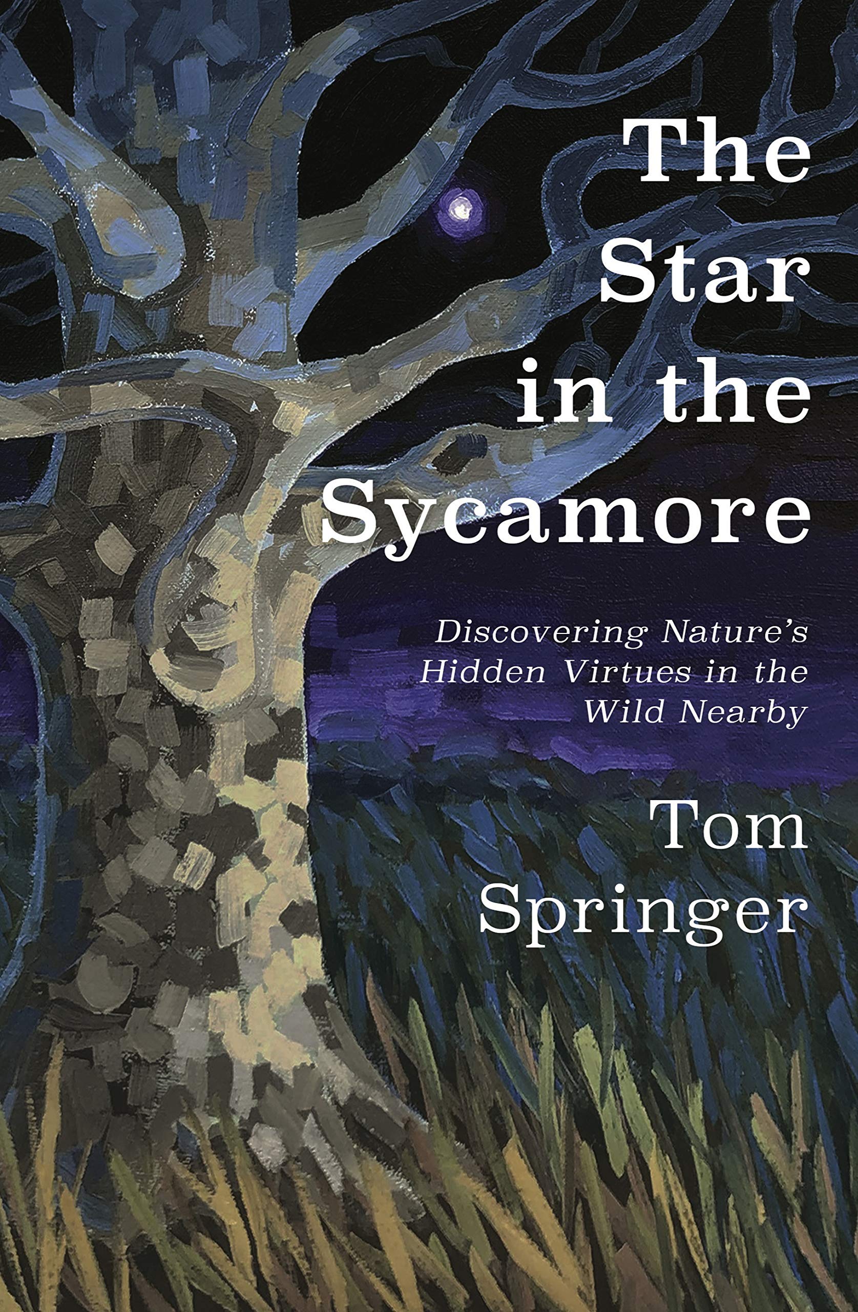 The Star in the Sycamore: Discovering Nature’s Hidden Virtues in the ...
