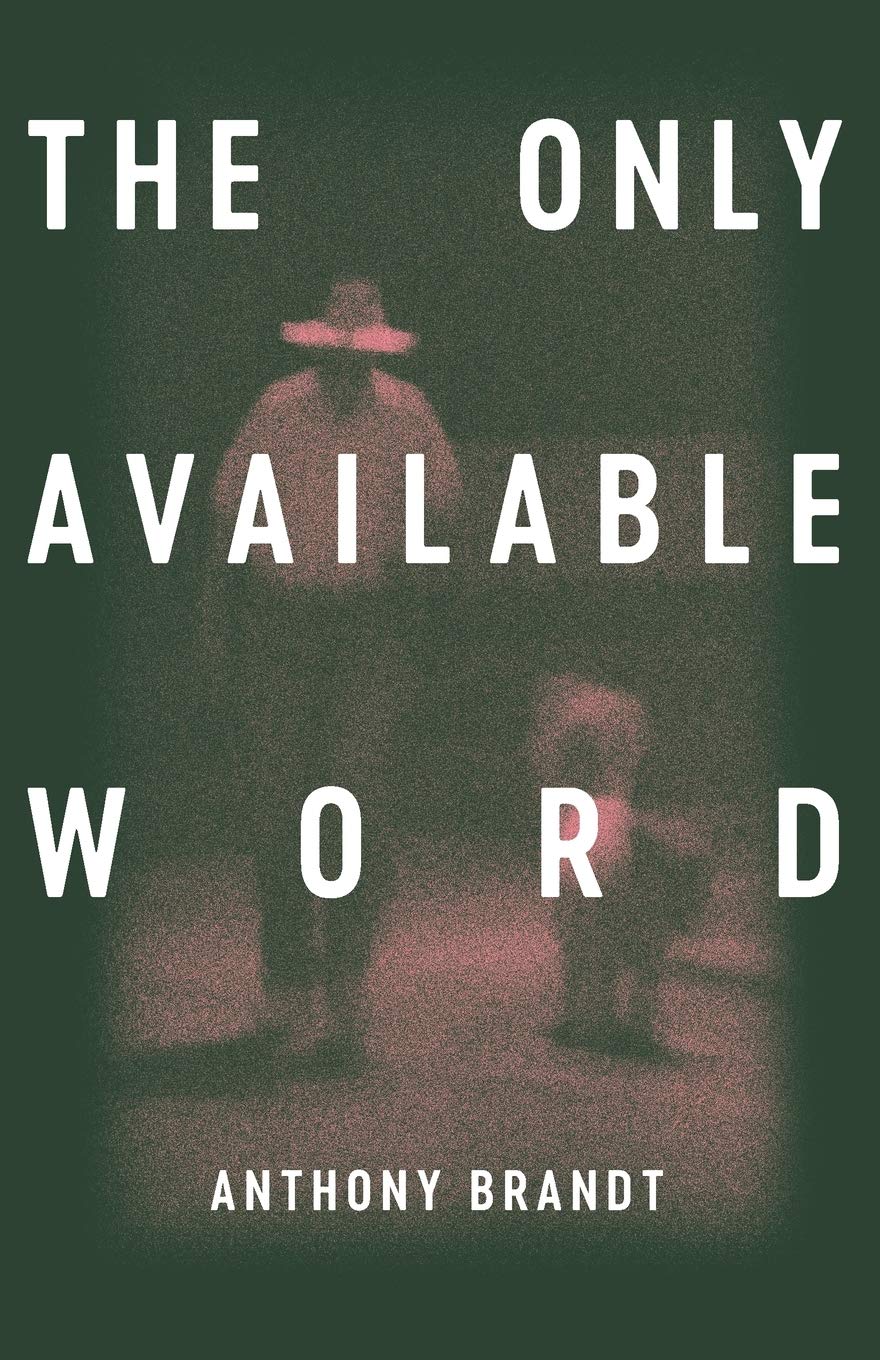 THE ONLY AVAILABLE WORD: Poems by Anthony Brandt by Anthony Brandt ...