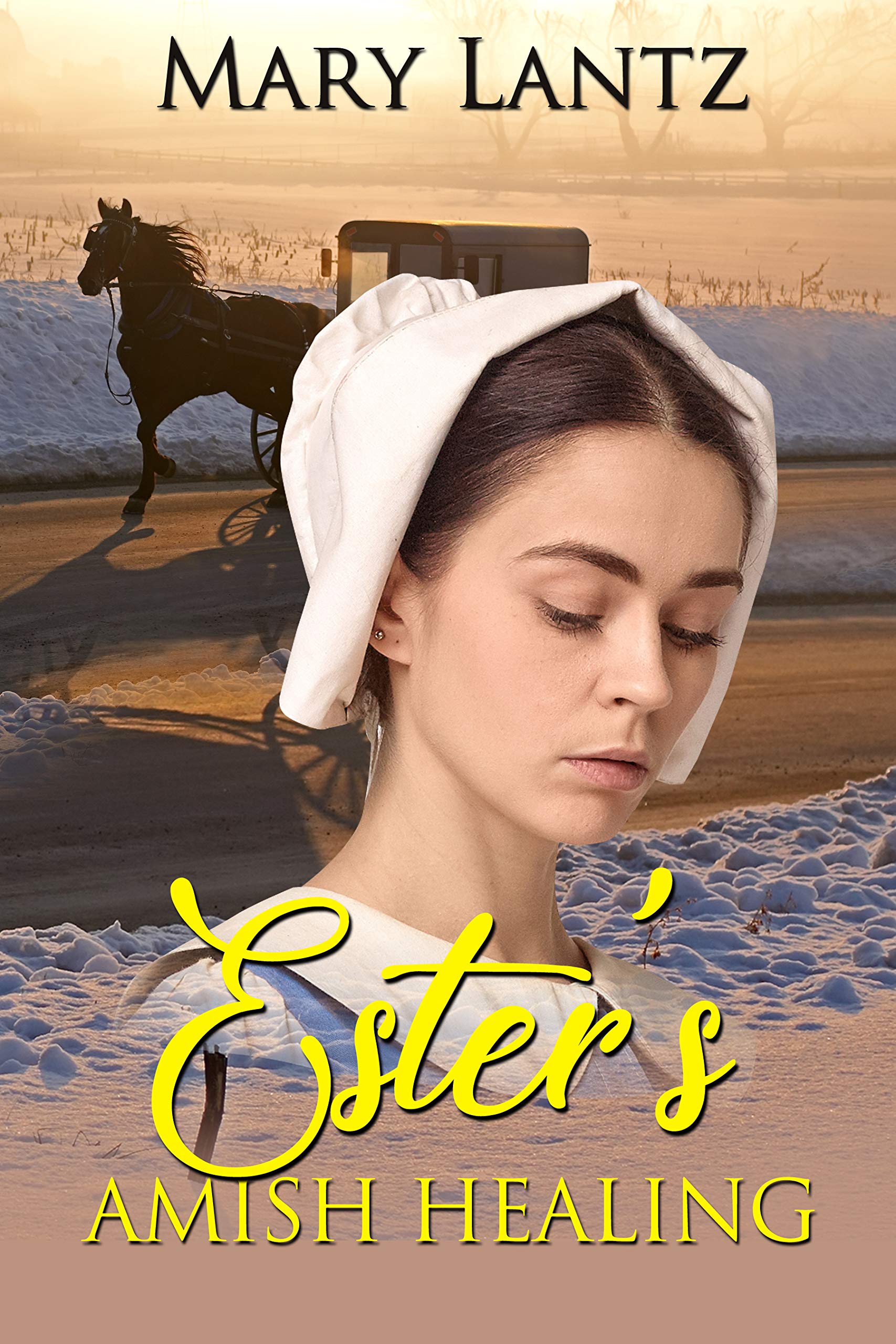 Ester's Amish Healing by Mary Lantz | Goodreads