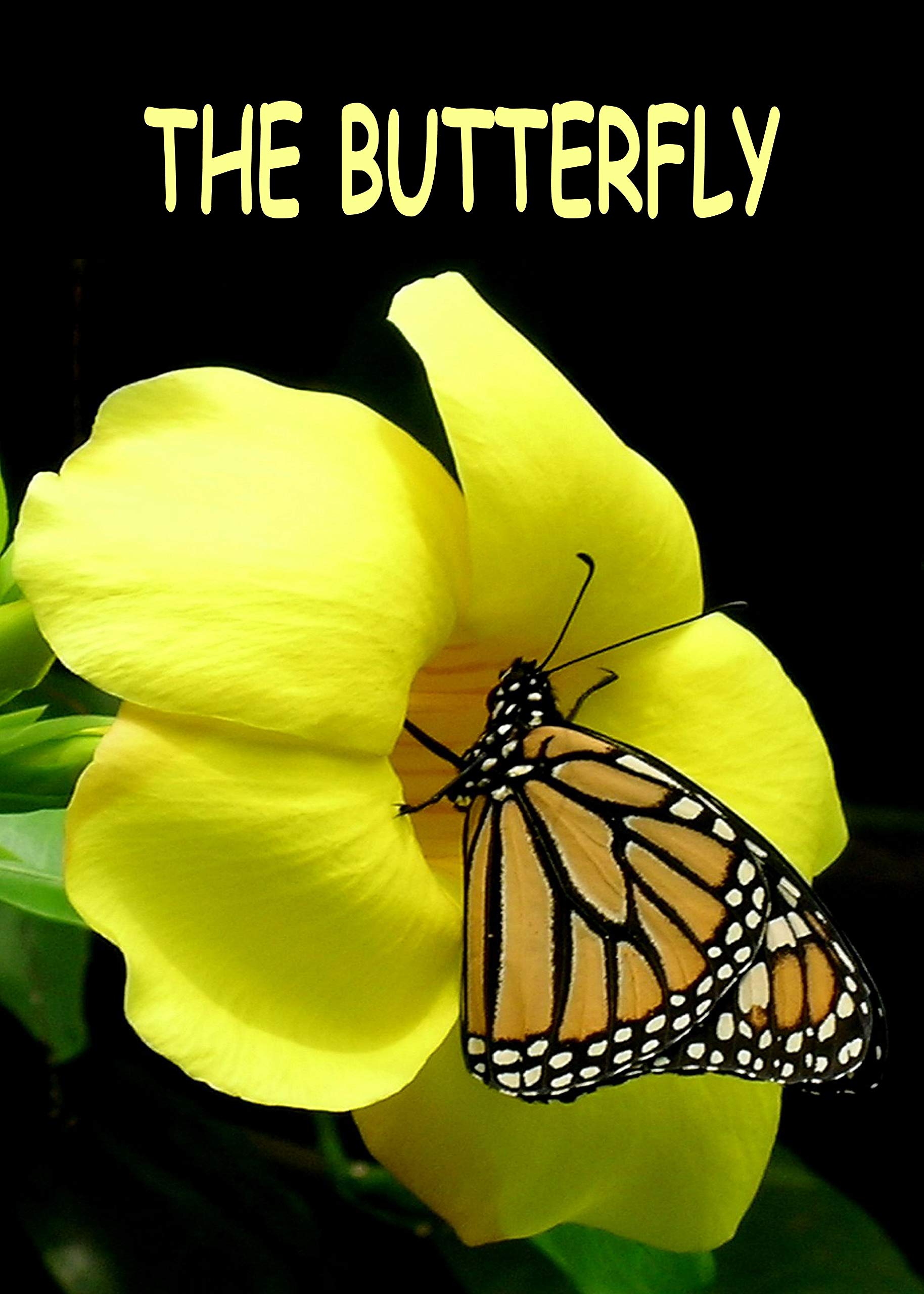 The Butterfly: A science based children's book depicting the life cycle ...