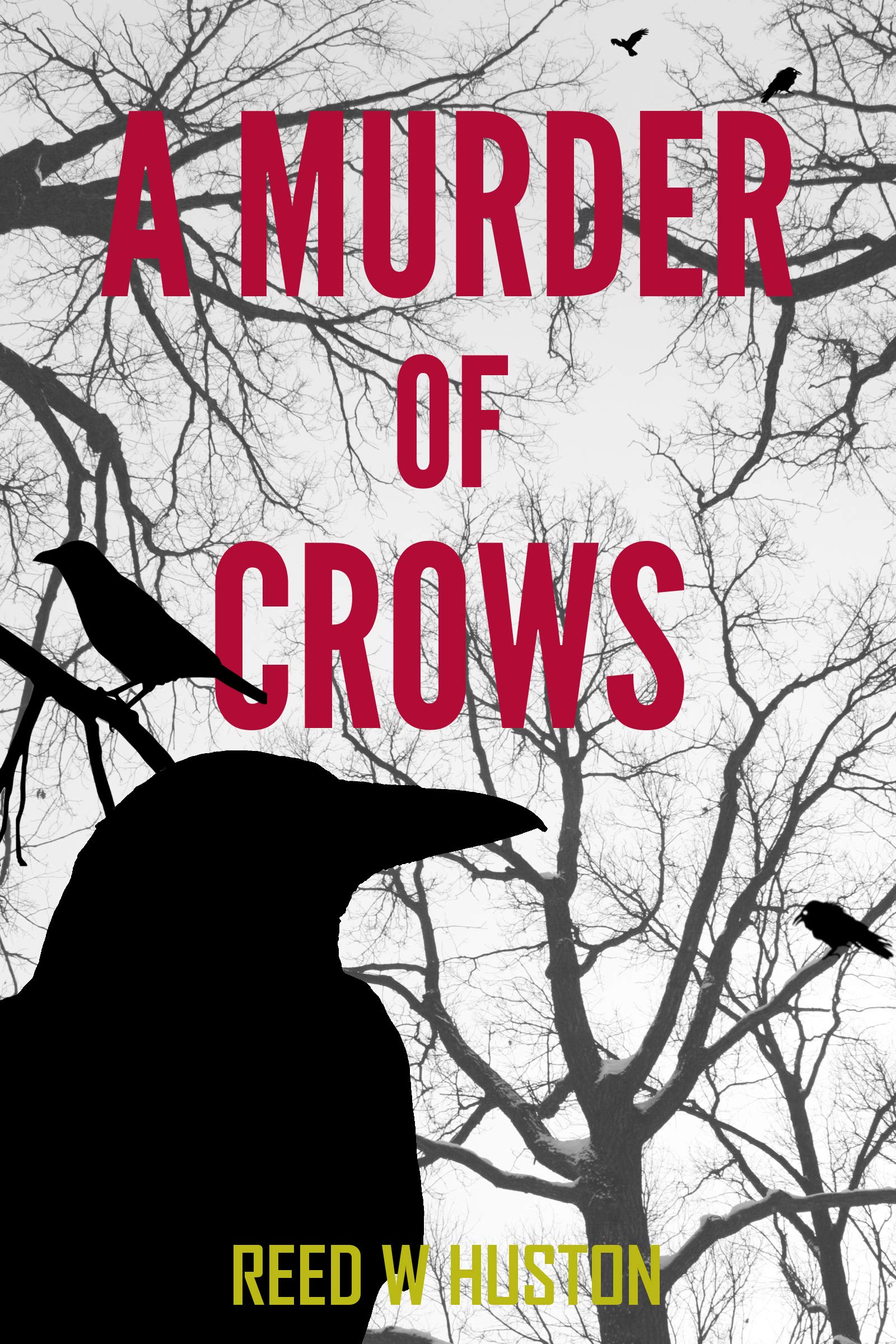 A Murder of Crows by Reed W. Huston | Goodreads