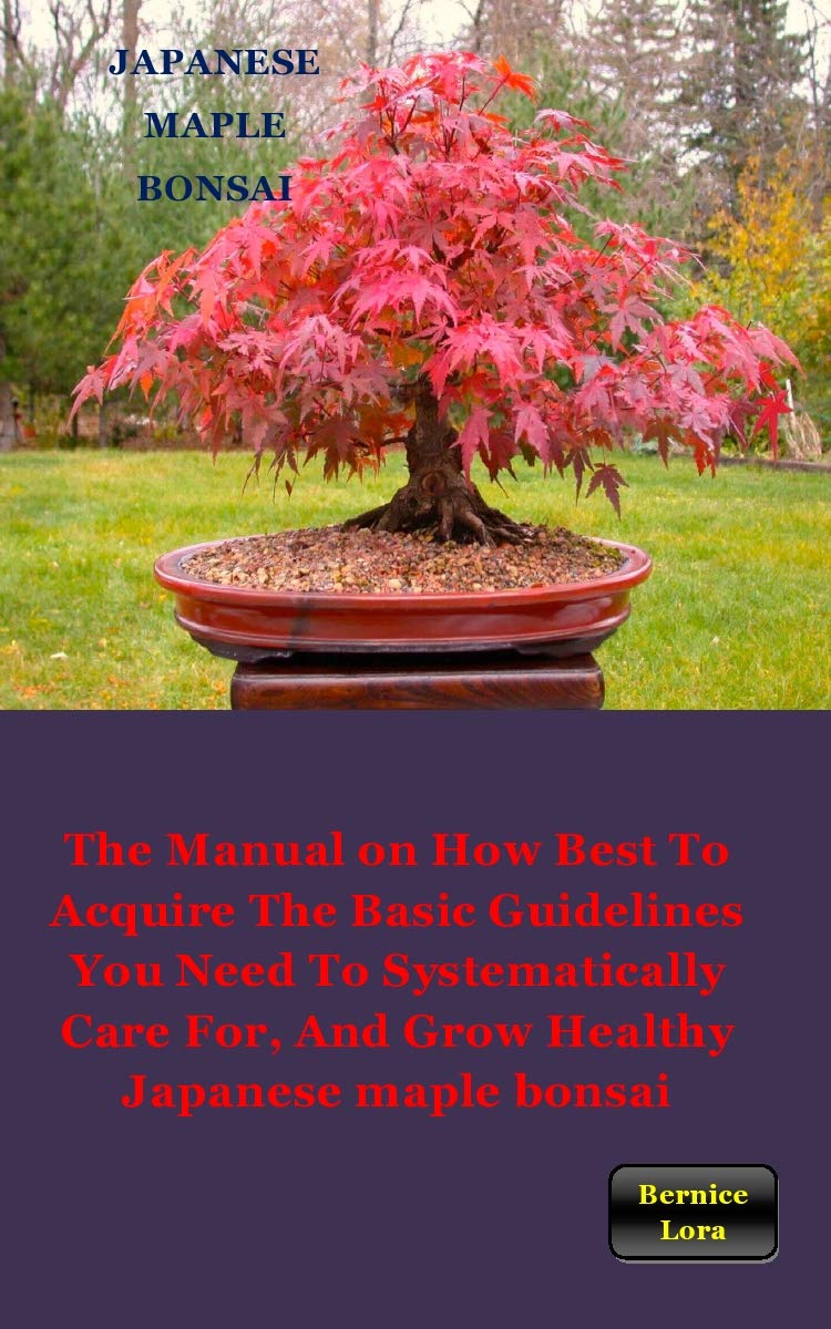 JAPANESE MAPLE BONSAI: The Manual on How Best to Acquire the Basic ...
