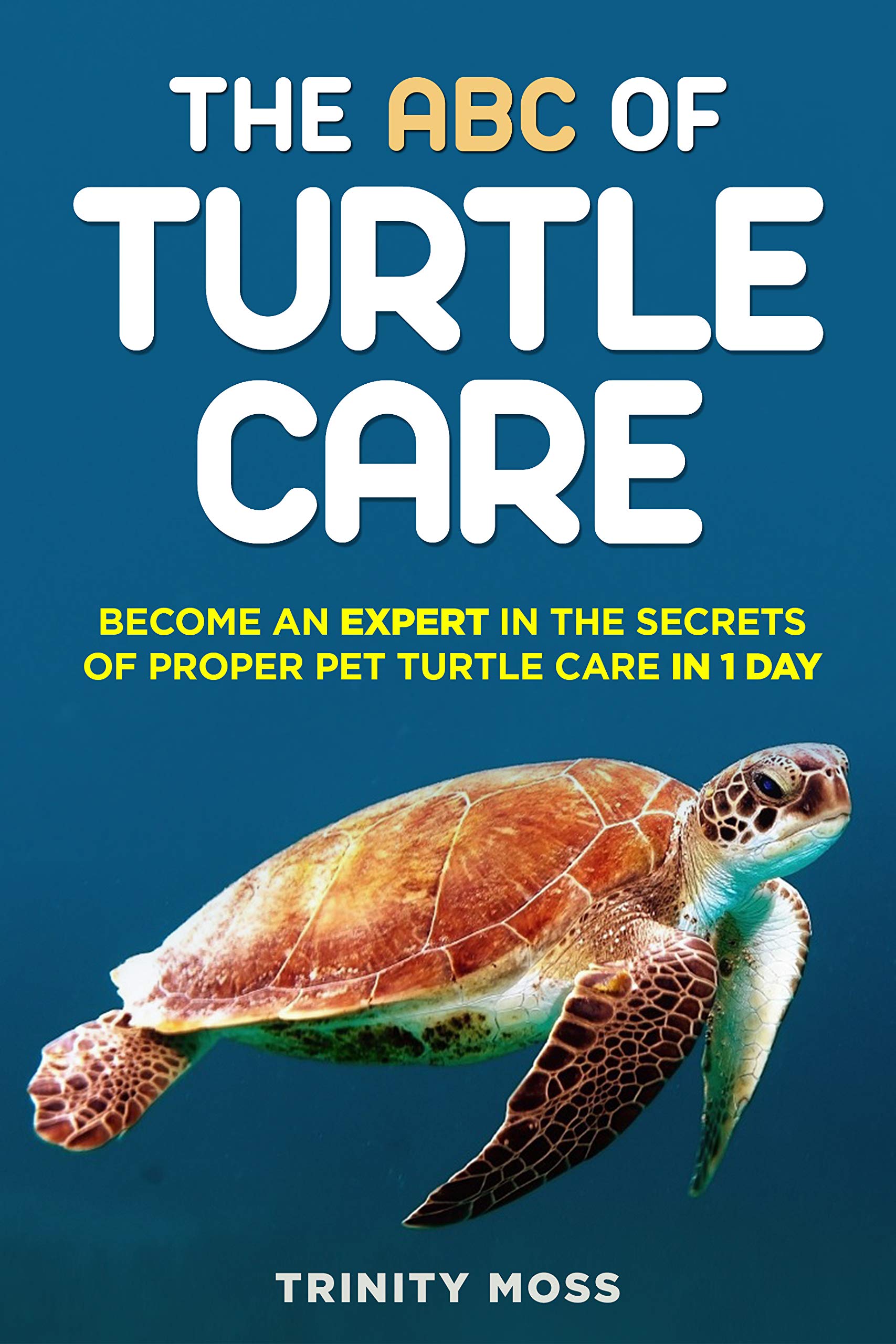 The ABC of Turtle Care: Become an Expert in the Secrets of Proper Pet ...