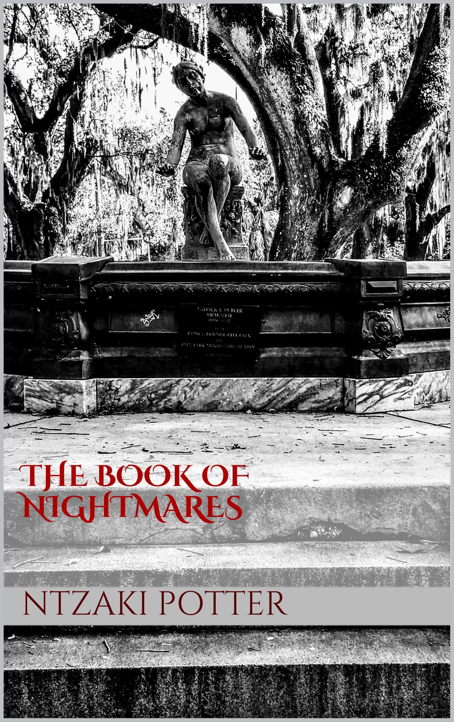 The Book of Nightmares by Ntzaki Potter | Goodreads