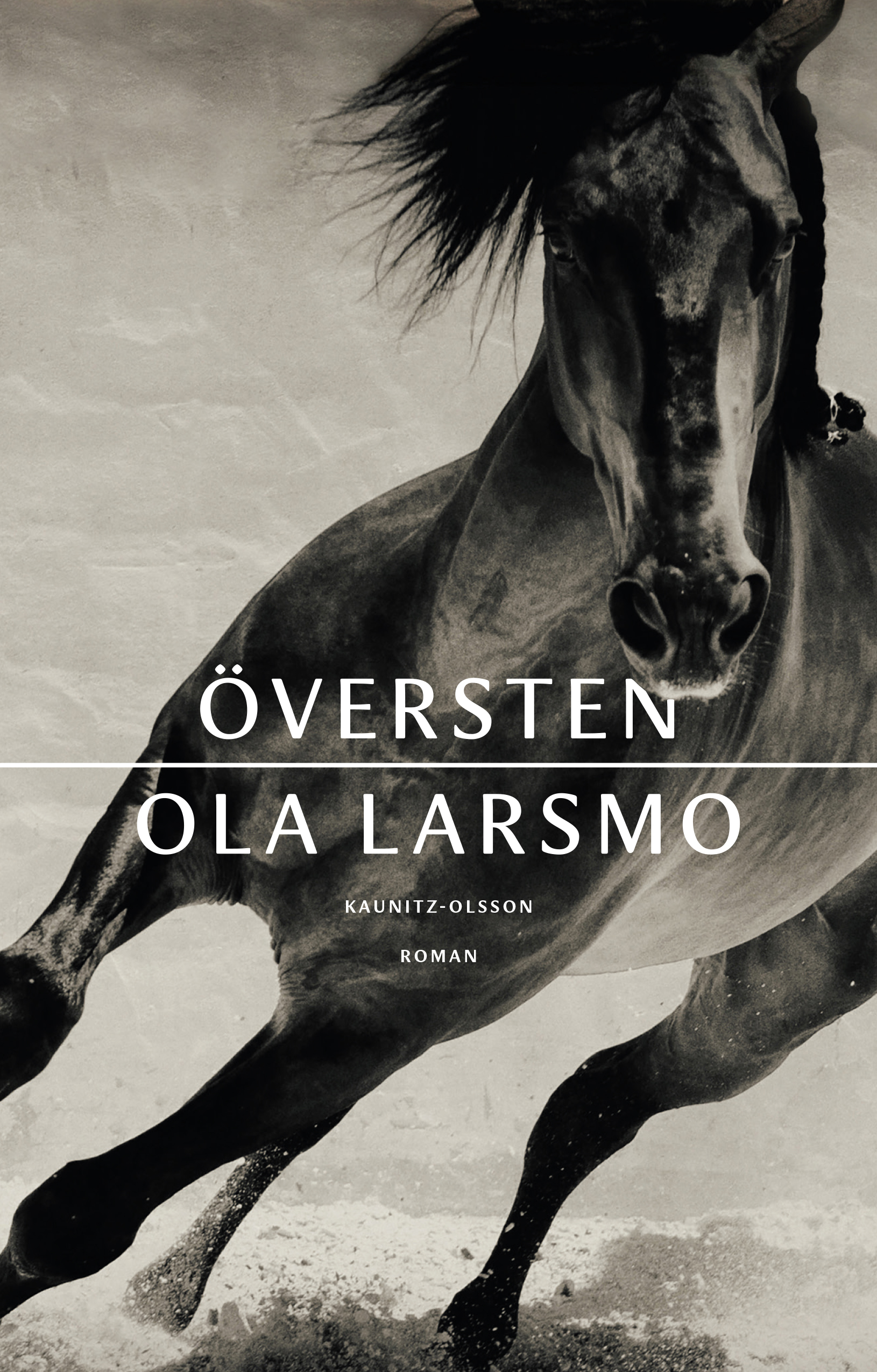 Översten by Ola Larsmo | Goodreads