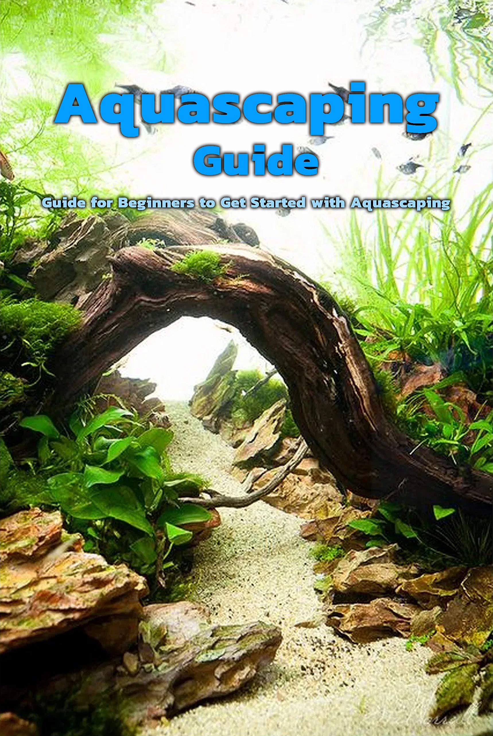 Aquascaping Guide: Guide for Beginners to Get Started with Aquascaping ...
