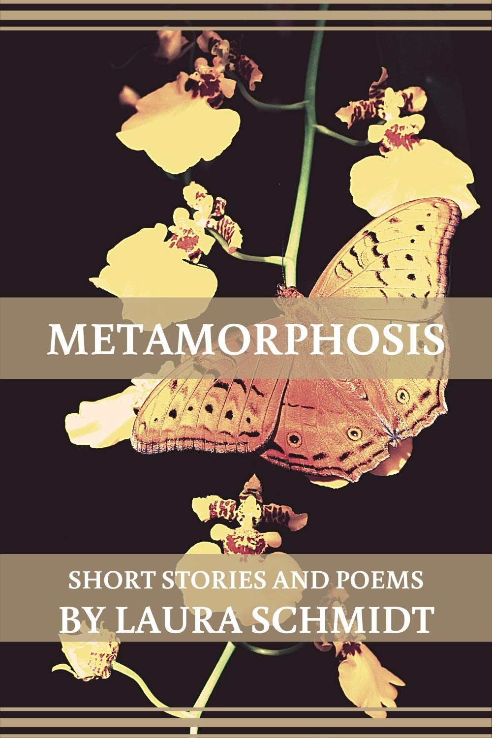 Metamorphosis: Short Stories and Poems by Laura Schmidt | Goodreads