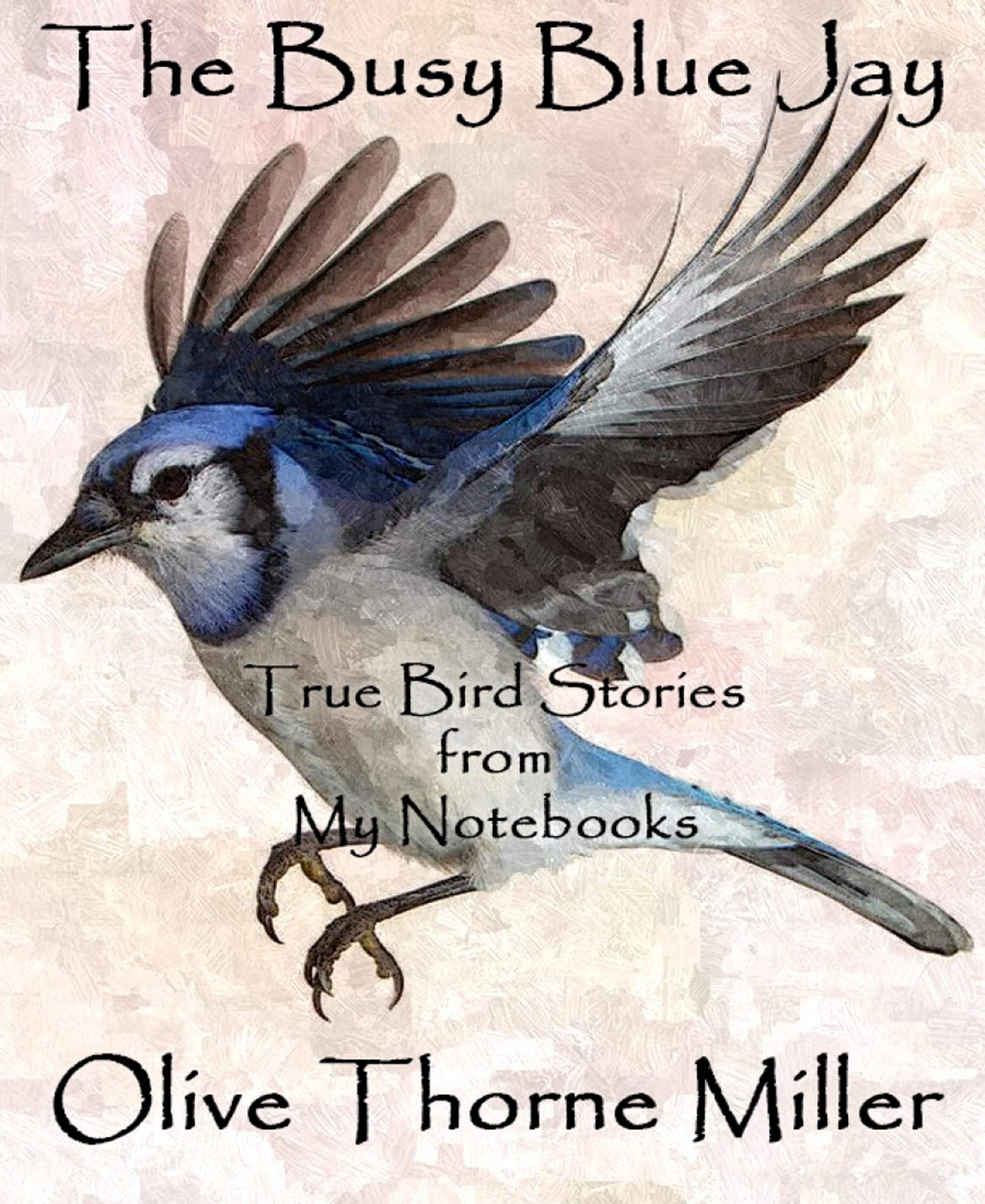 The Busy Blue Jay: True Bird Stories from My Notebooks by Olive Thorne ...