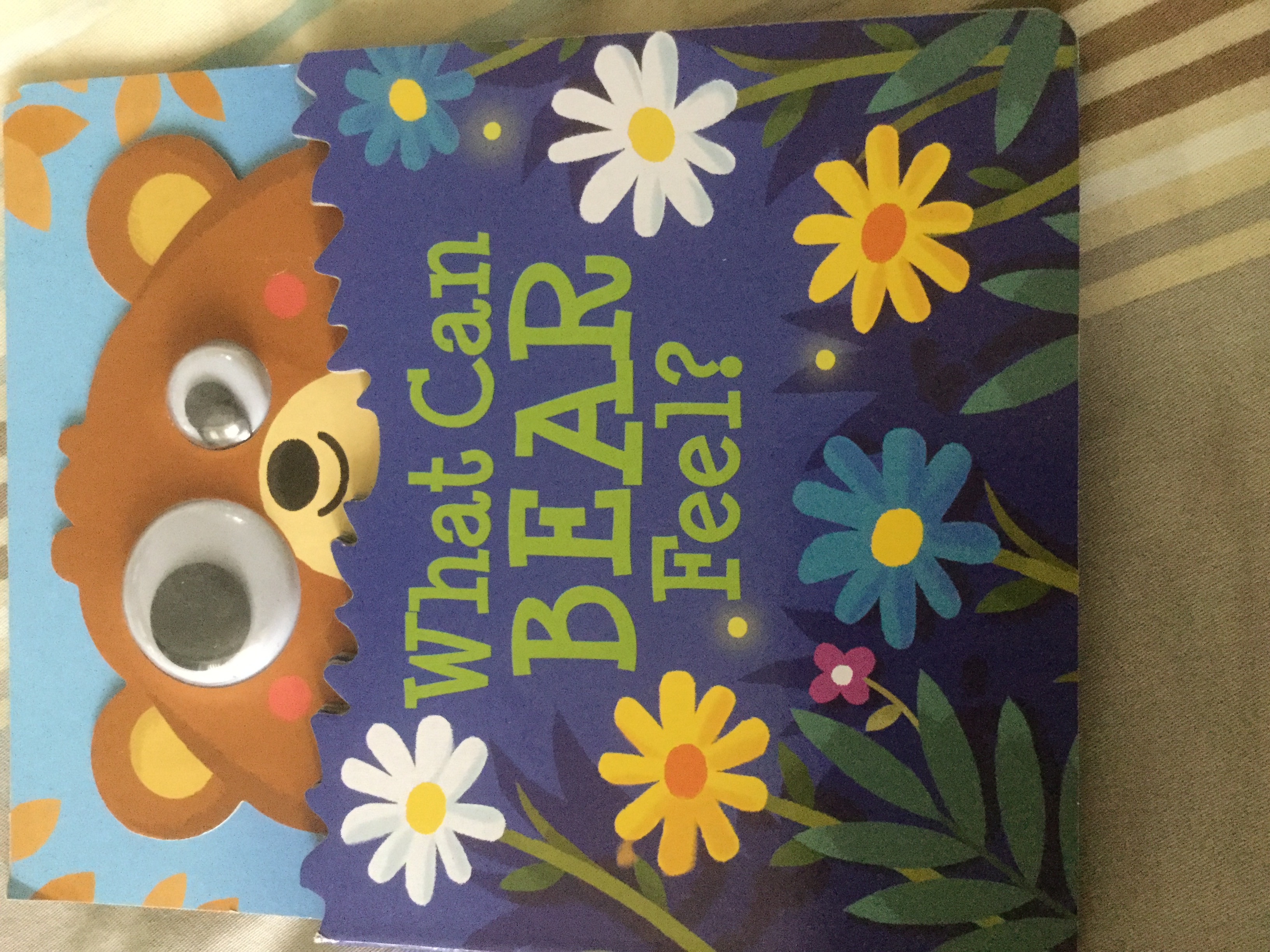 What can a bear feel by The Clever Factory | Goodreads