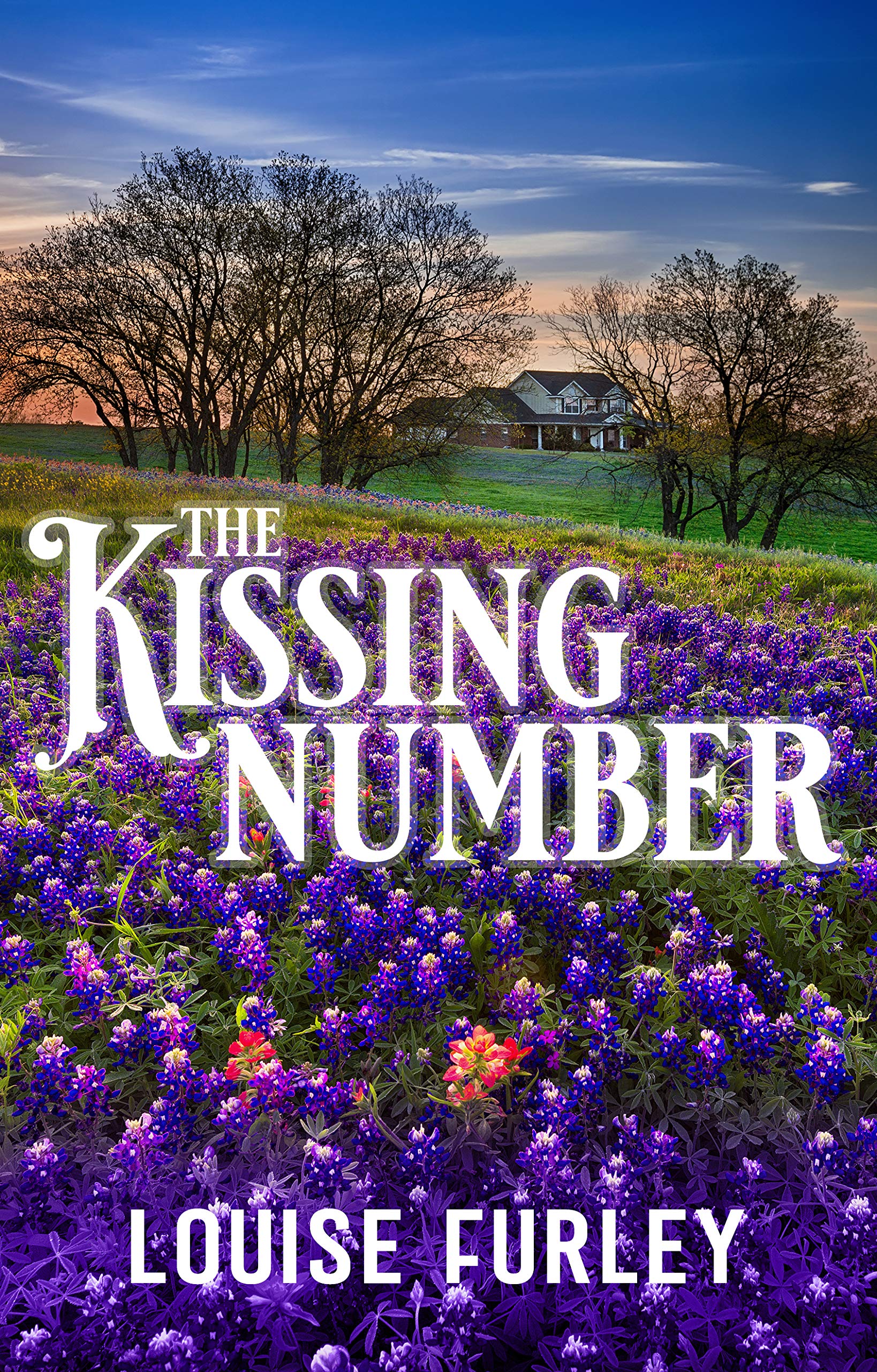 The Kissing Number by Louise Furley | Goodreads
