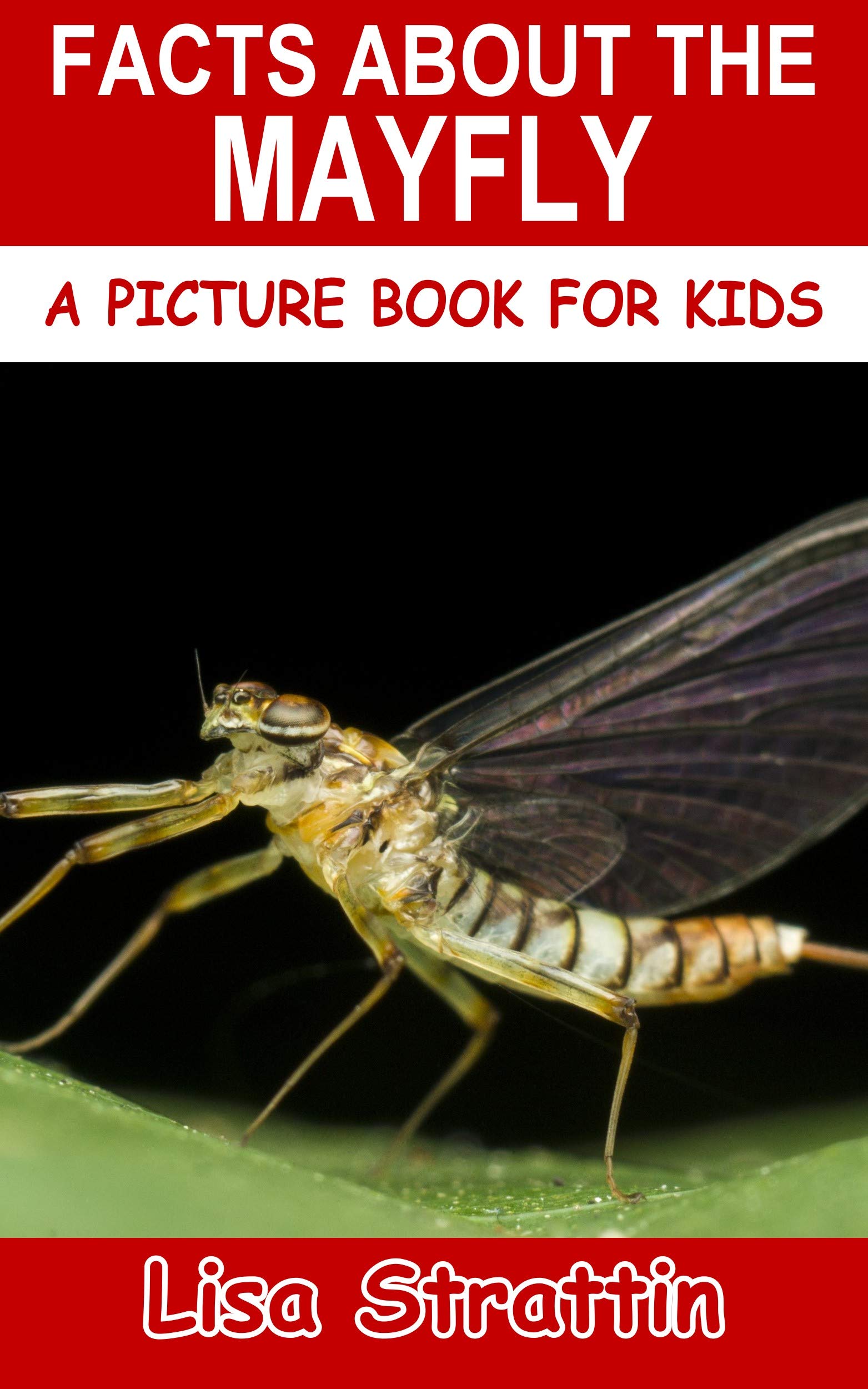 Facts About the Mayfly (A Picture Book For Kids 384) by Lisa Strattin ...