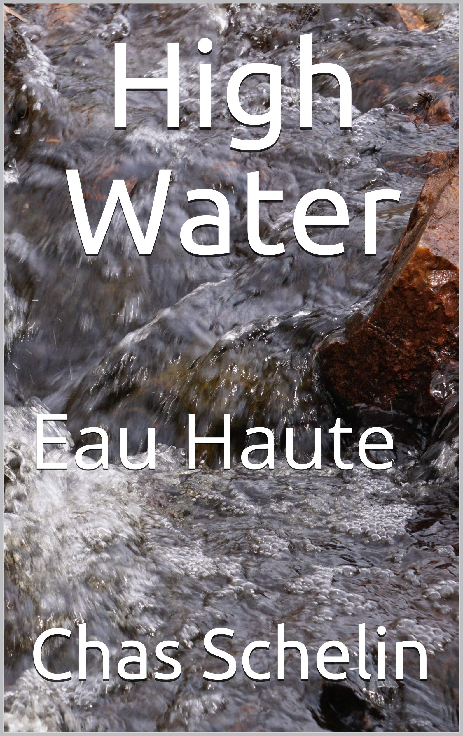 High Water: Eau Haute (River City Mysteries Book 2) by Chas Schelin ...