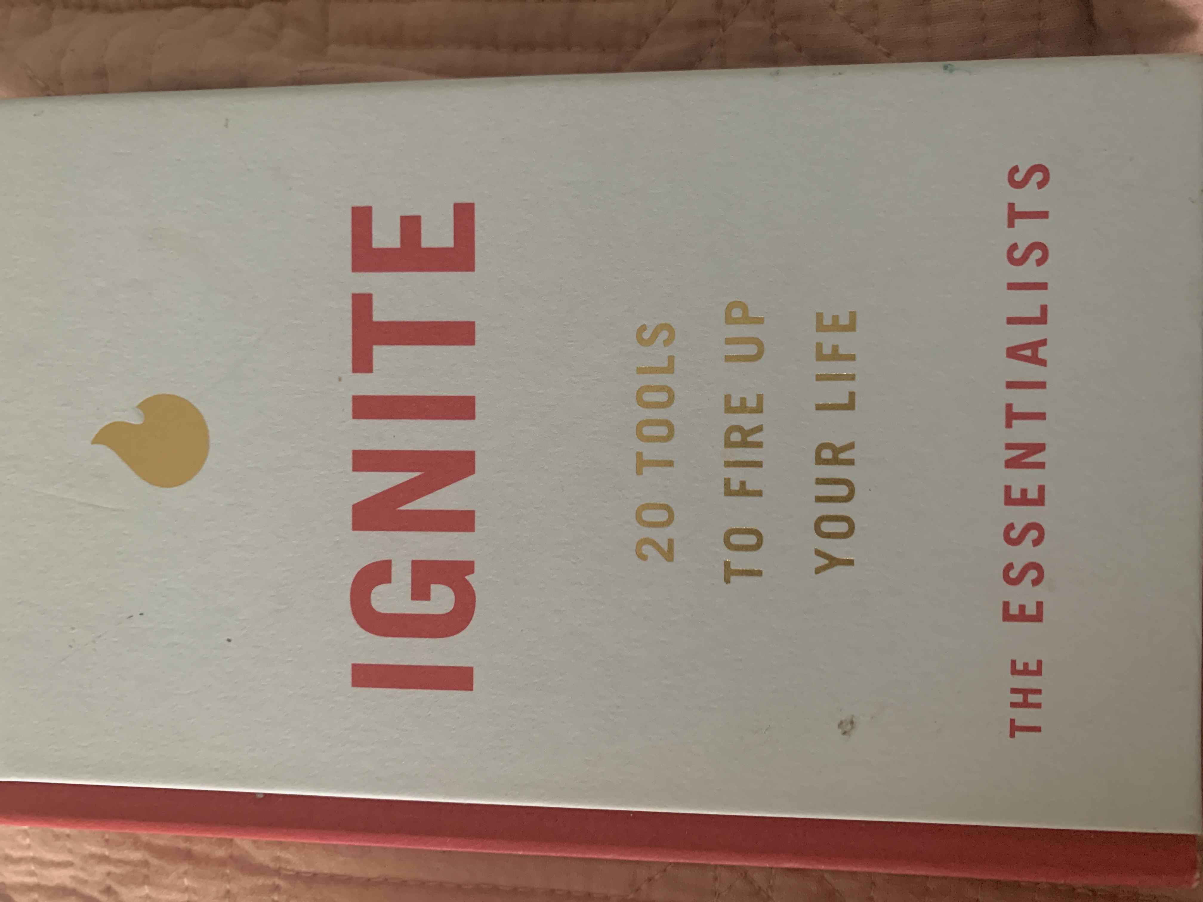 Ignite: The Essentialists - 20 tools to fire up your life by Michael ...