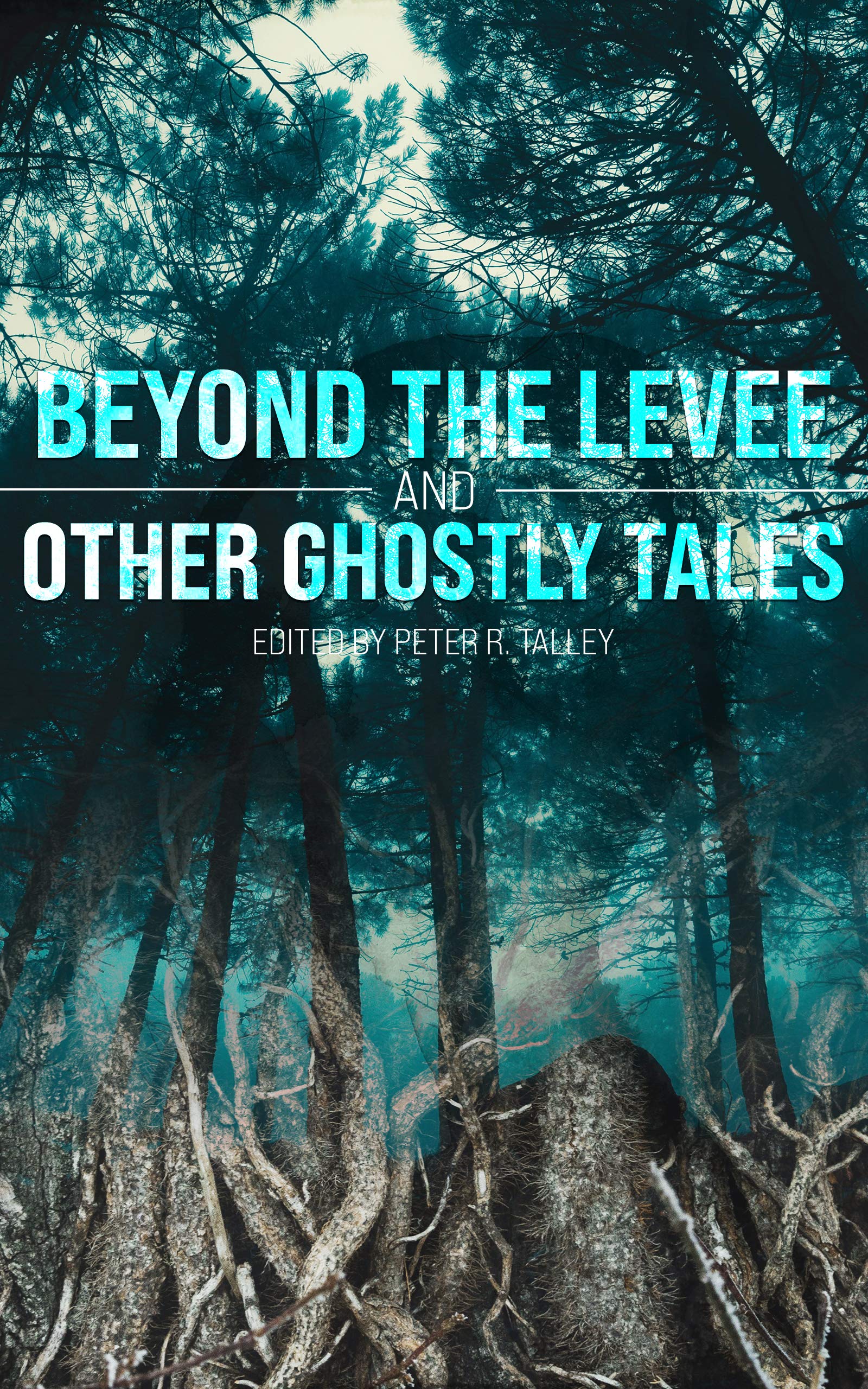 Beyond the Levee and Other Ghostly Tales by Peter Talley | Goodreads