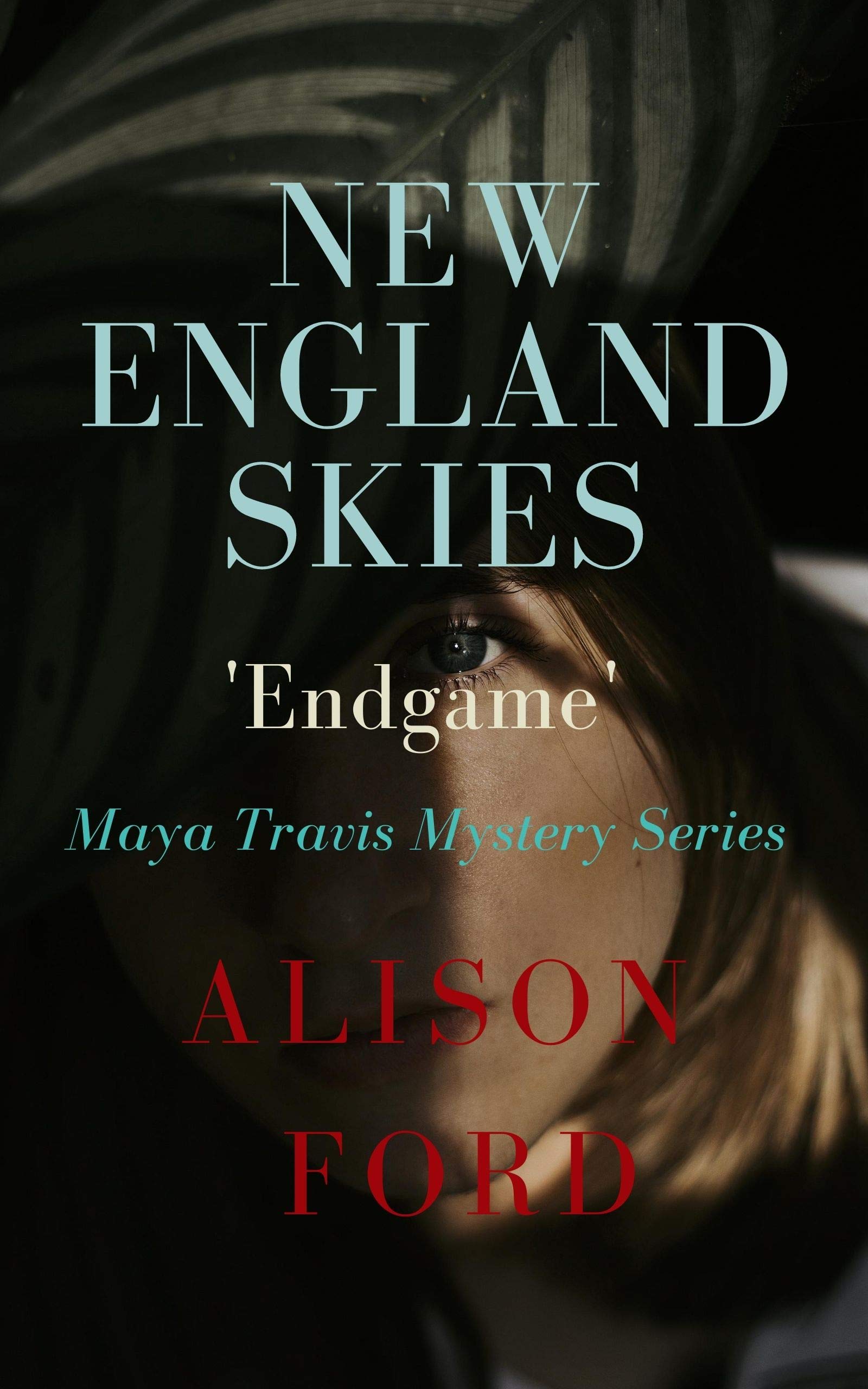 New England Skies: Book Four: Endgame by Alison Ford | Goodreads
